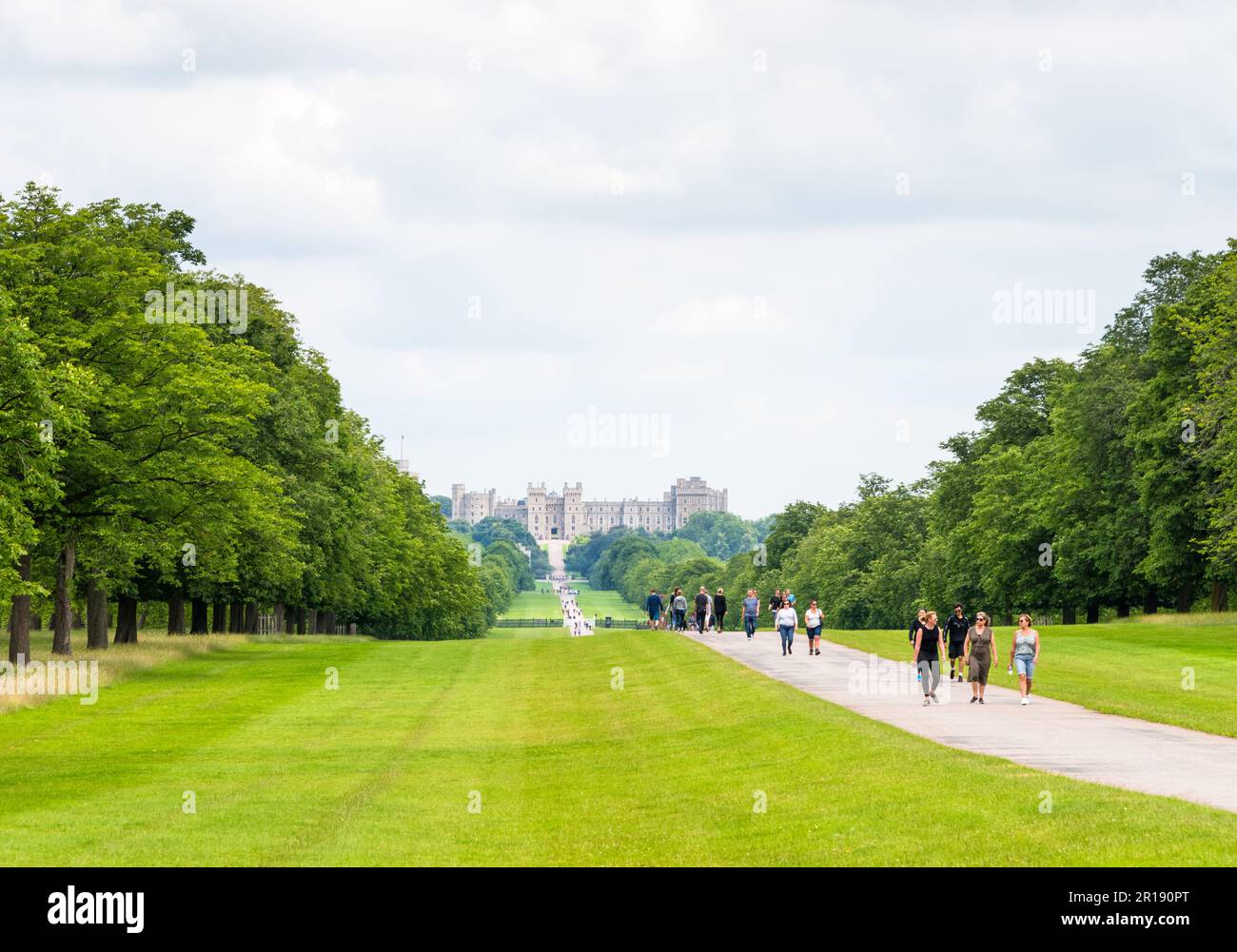 Windsor Castle, viewed from the Long Walk, Windsor Great Park ...