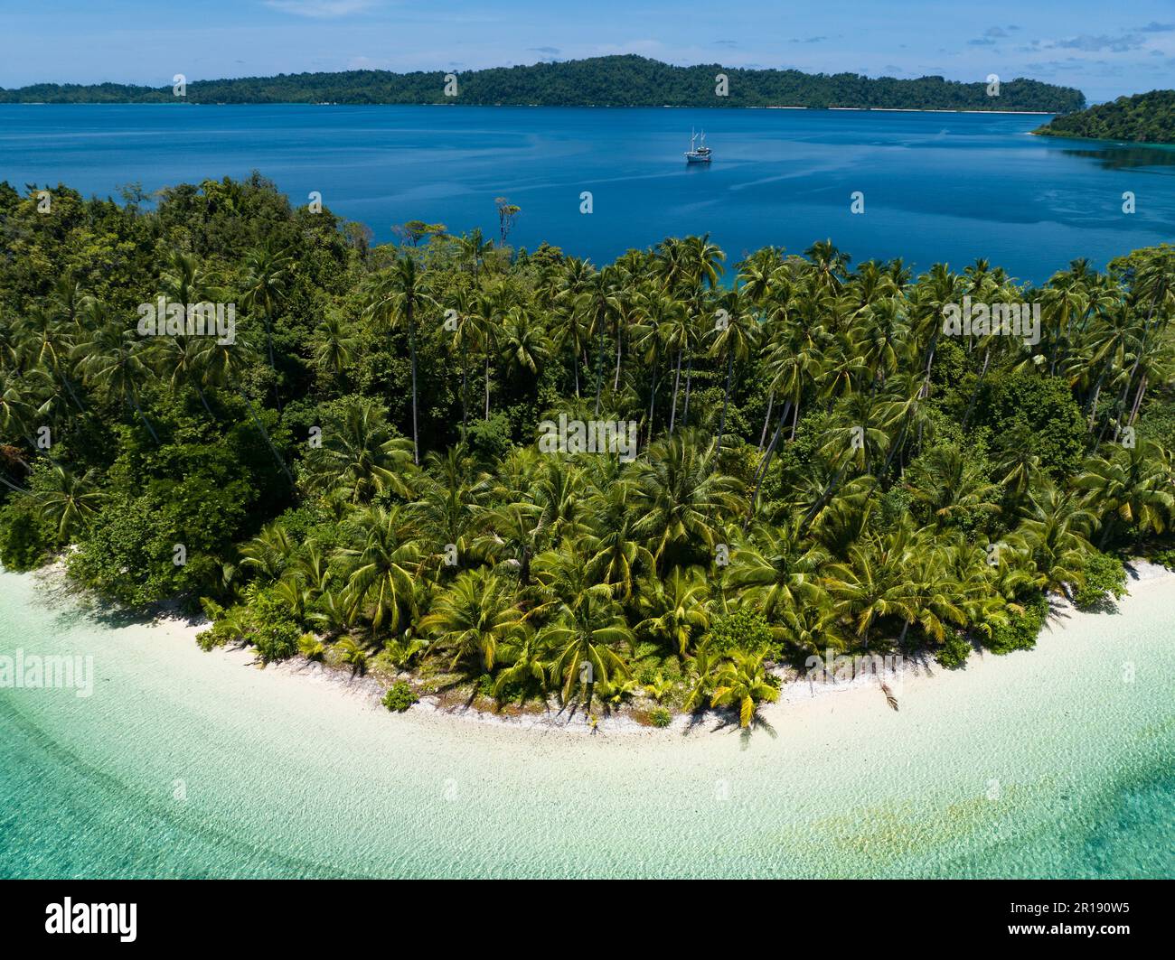 Palm trees grow along a scenic, tropical beach off the coast of West ...