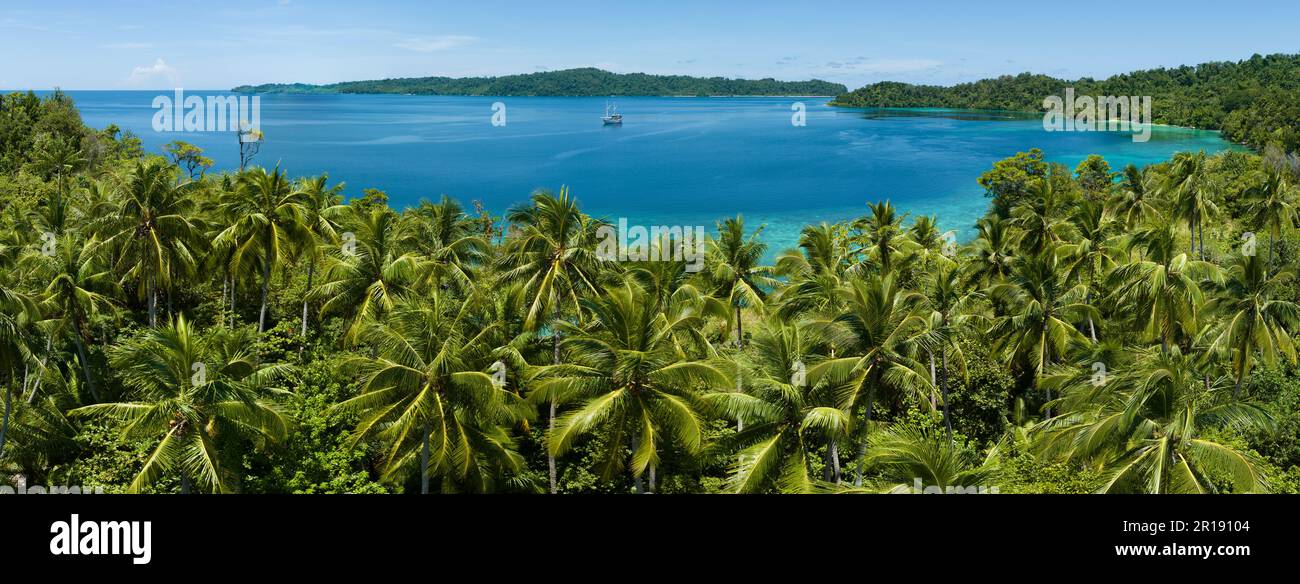 Palm trees grow on a scenic tropical island off the coast of West Papua ...
