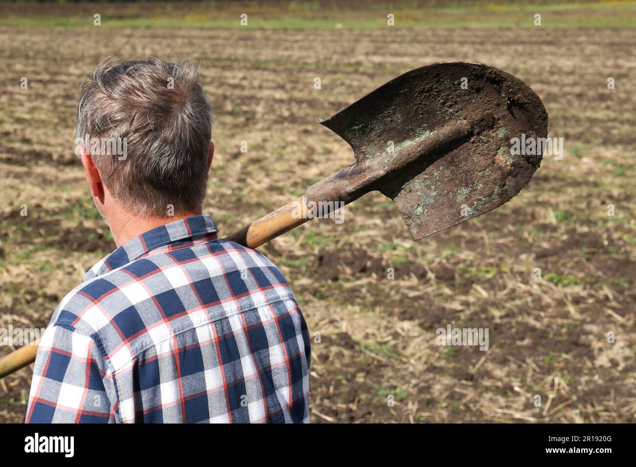 Man holding shovel in field, back view. Digging process Stock Photo - Alamy
