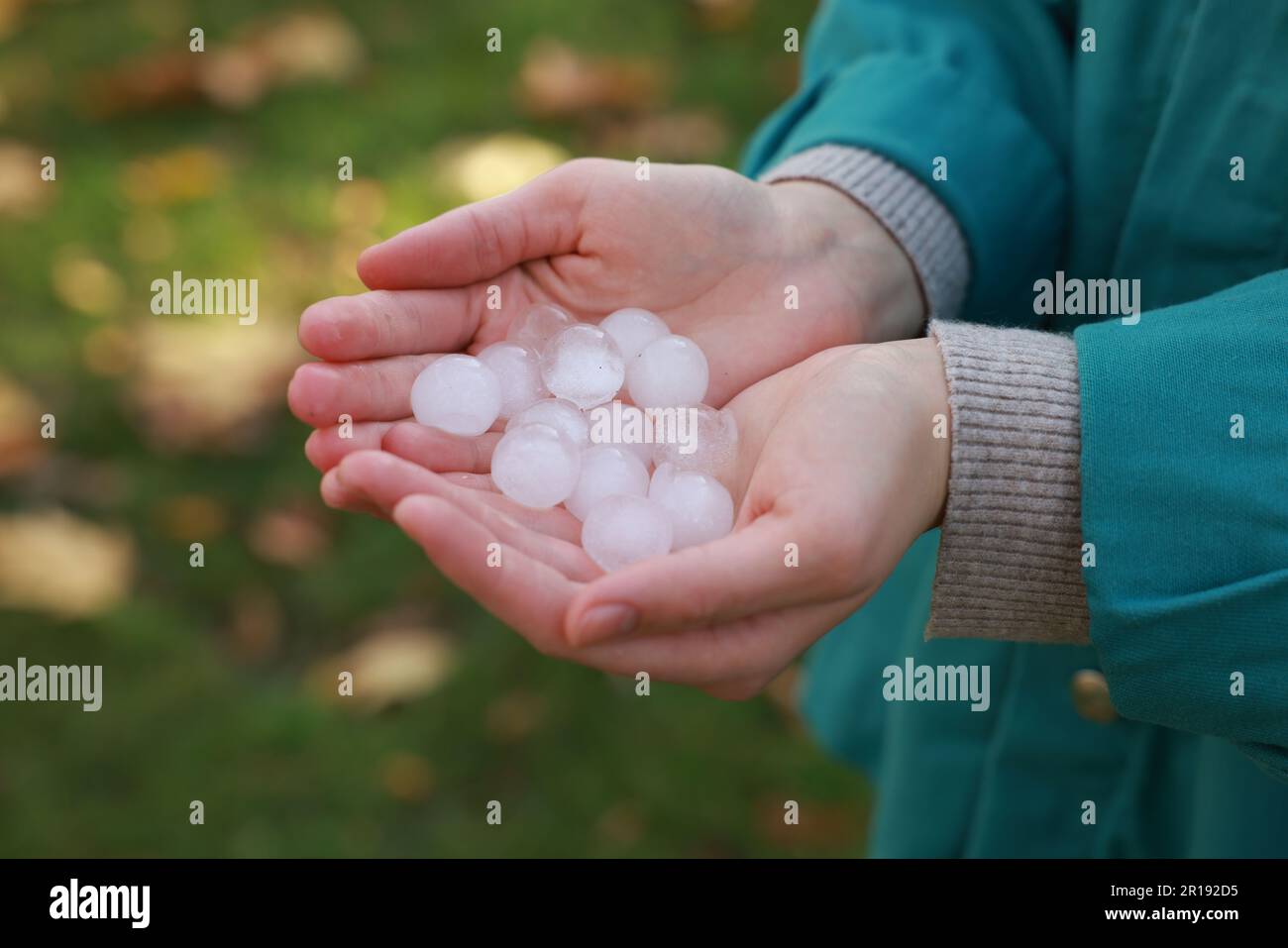 Large grains of hail hi-res stock photography and images - Alamy