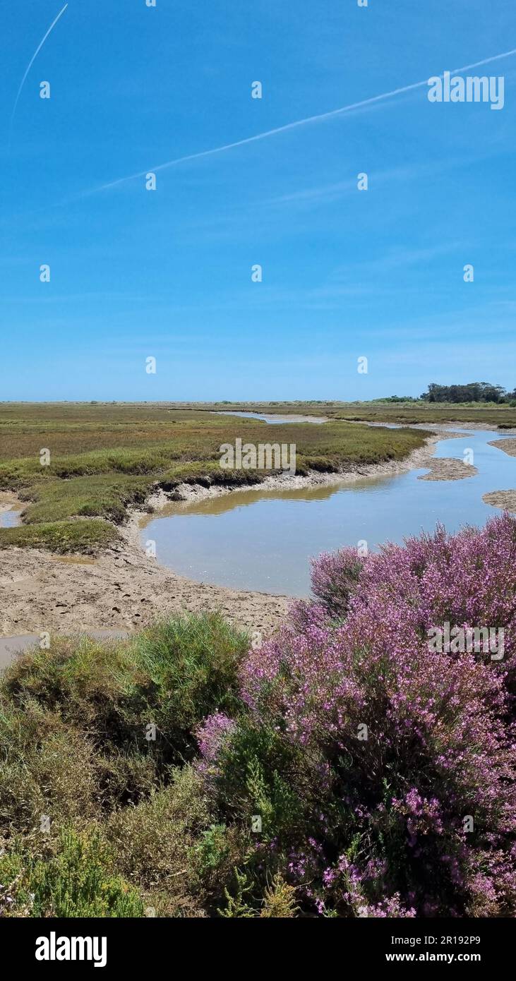 A vertical of a lake in Ria Formosa nature reserve in Portugal Stock ...