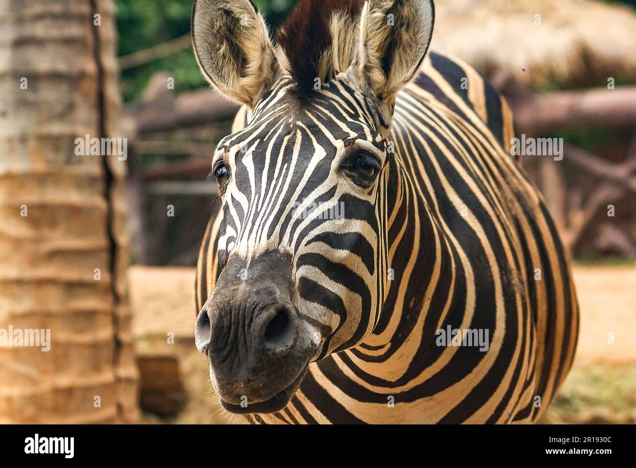 Alternating color stripes hi-res stock photography and images - Alamy