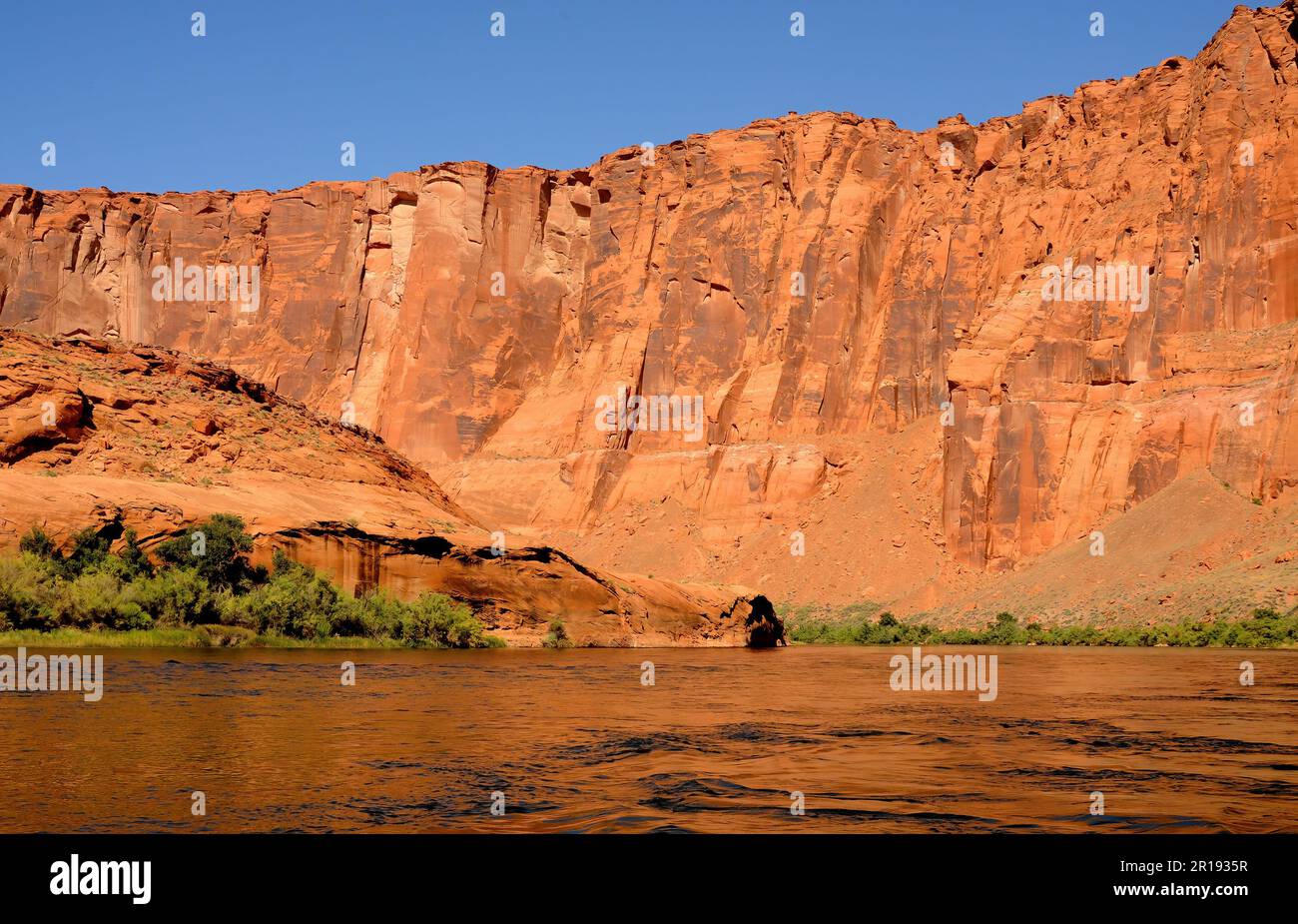 Colorado river and cliffs near Lee's Ferry Arizona Stock Photo - Alamy