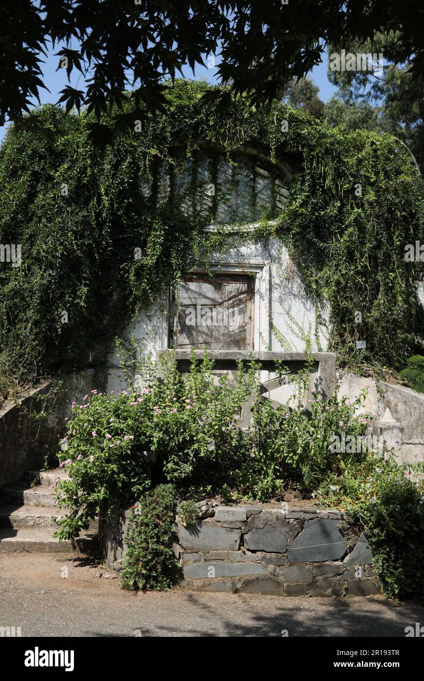 Beautiful white old building covered in plants Stock Photo - Alamy