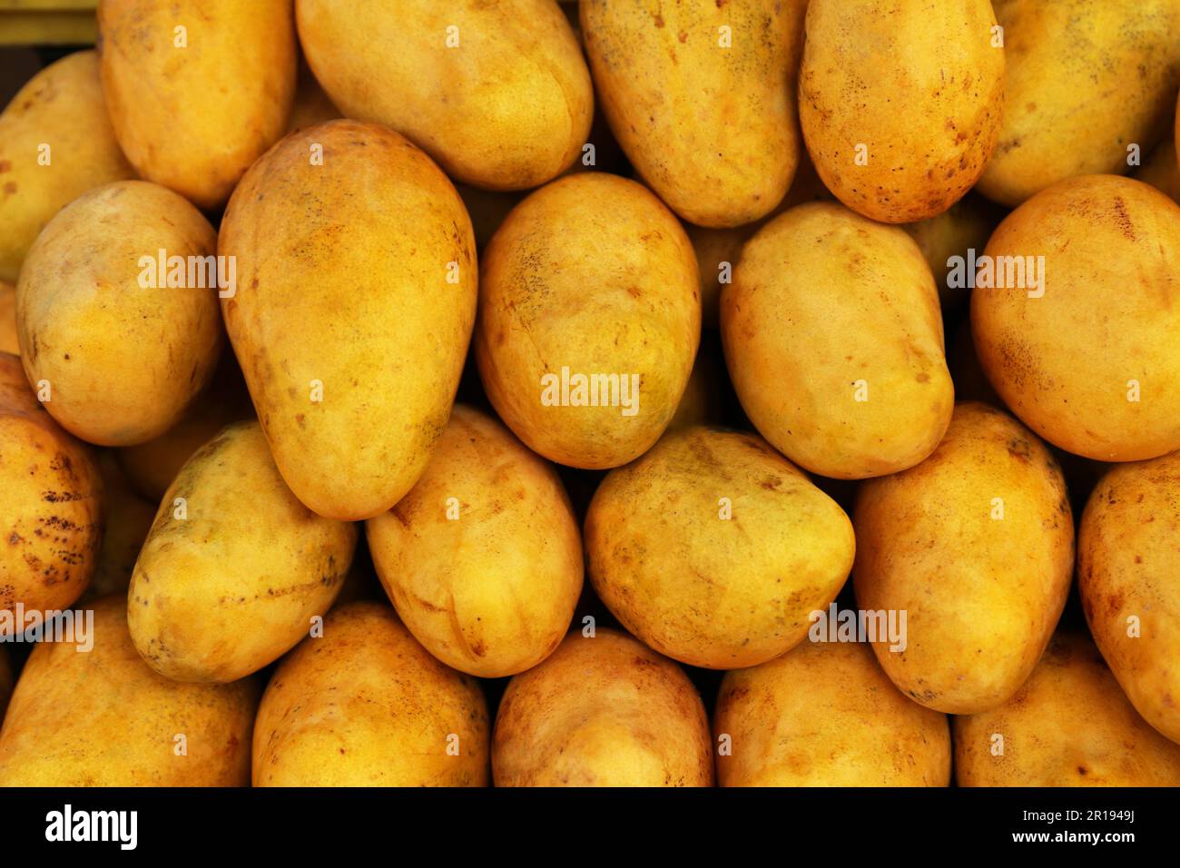 Pile of delicious ripe yellow mangoes, closeup Stock Photo - Alamy