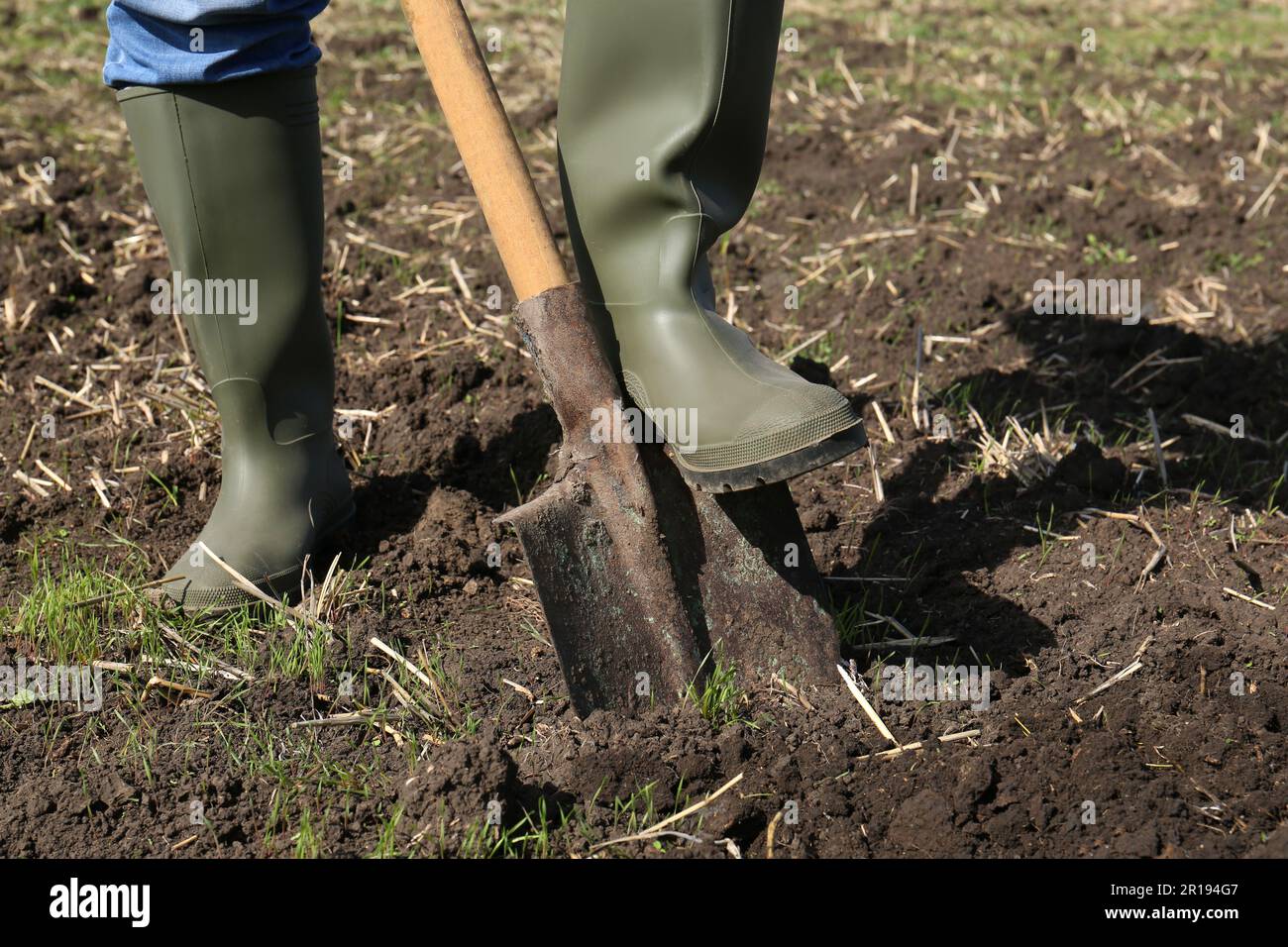 Man digging soil in backyard man hi-res stock photography and images ...