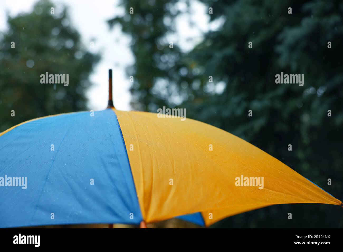 Yellow and blue umbrella outdoors on rainy day, closeup Stock Photo - Alamy