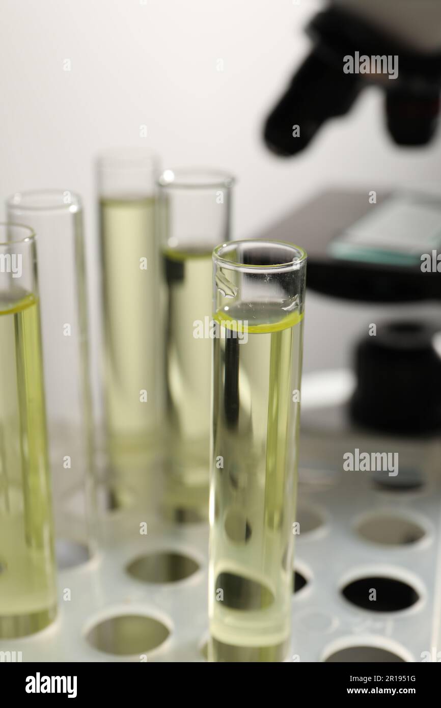 Test tubes with urine samples for analysis in holder on grey background ...