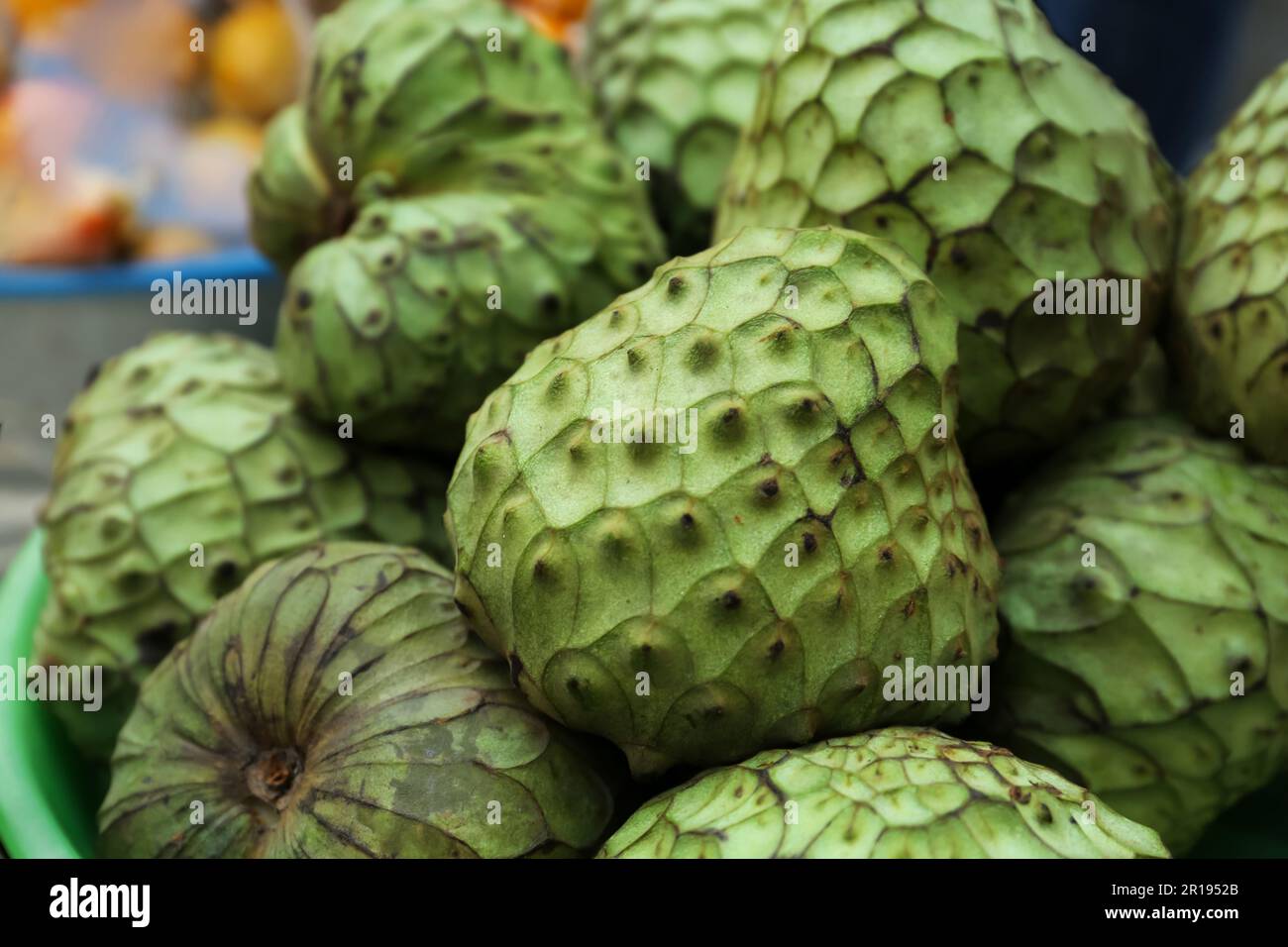 Delicious green cherimoya fruits on market stall, closeup Stock Photo ...