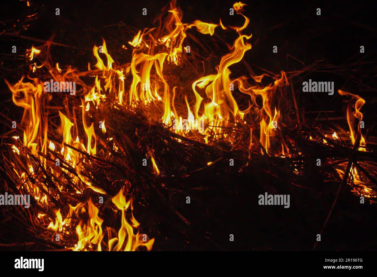 Concept of particles , sparkles, flame and light. Fire background, Fire ...