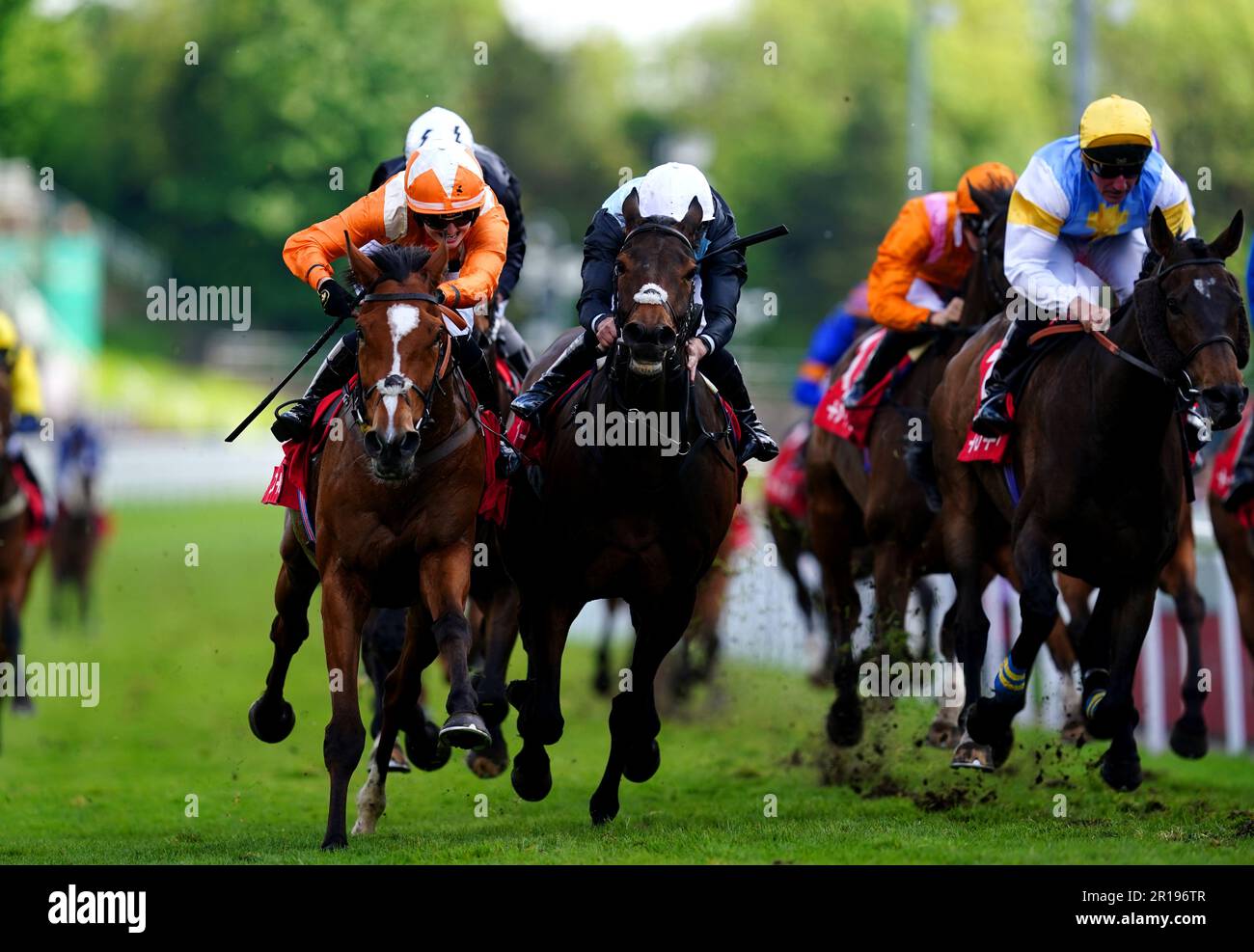 Metier chester cup hi-res stock photography and images - Alamy