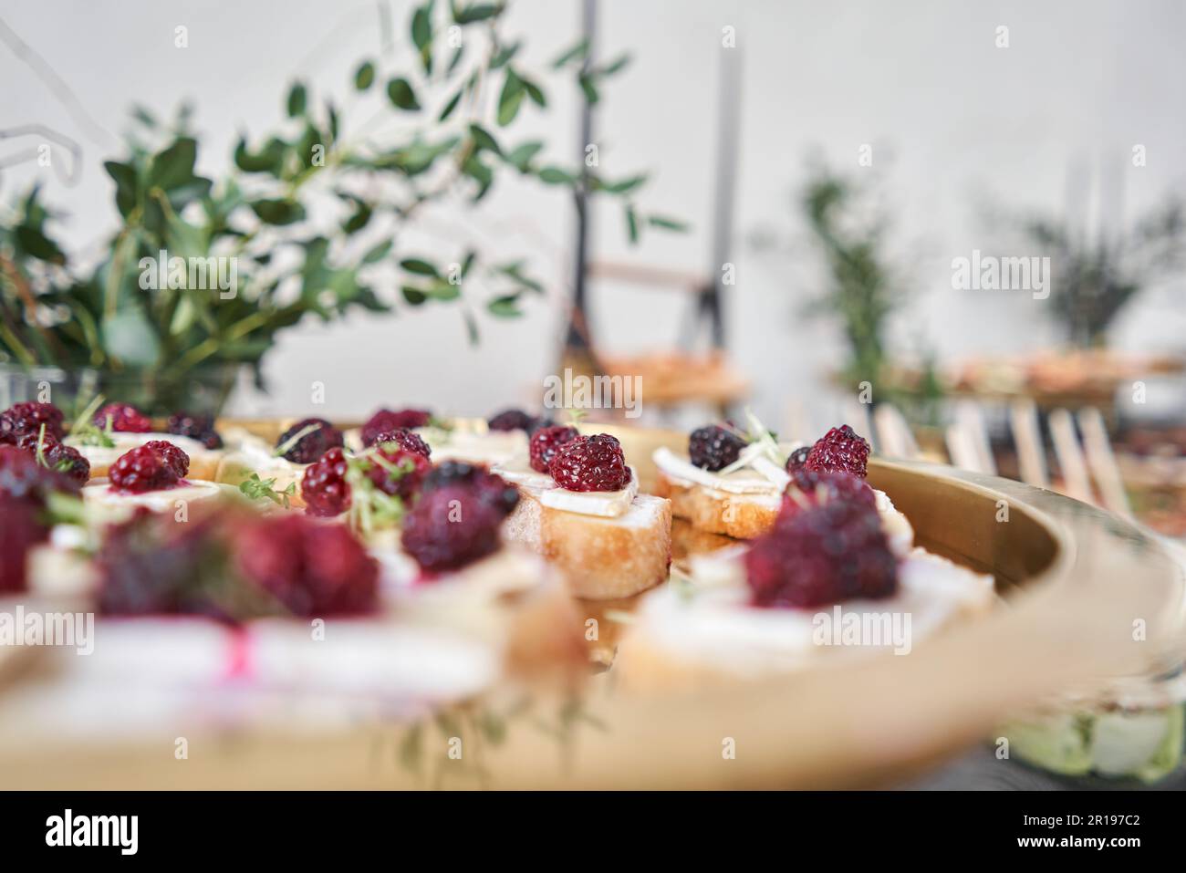 Delicious canapes with camembert and blackberries. Tasty buffet table ...