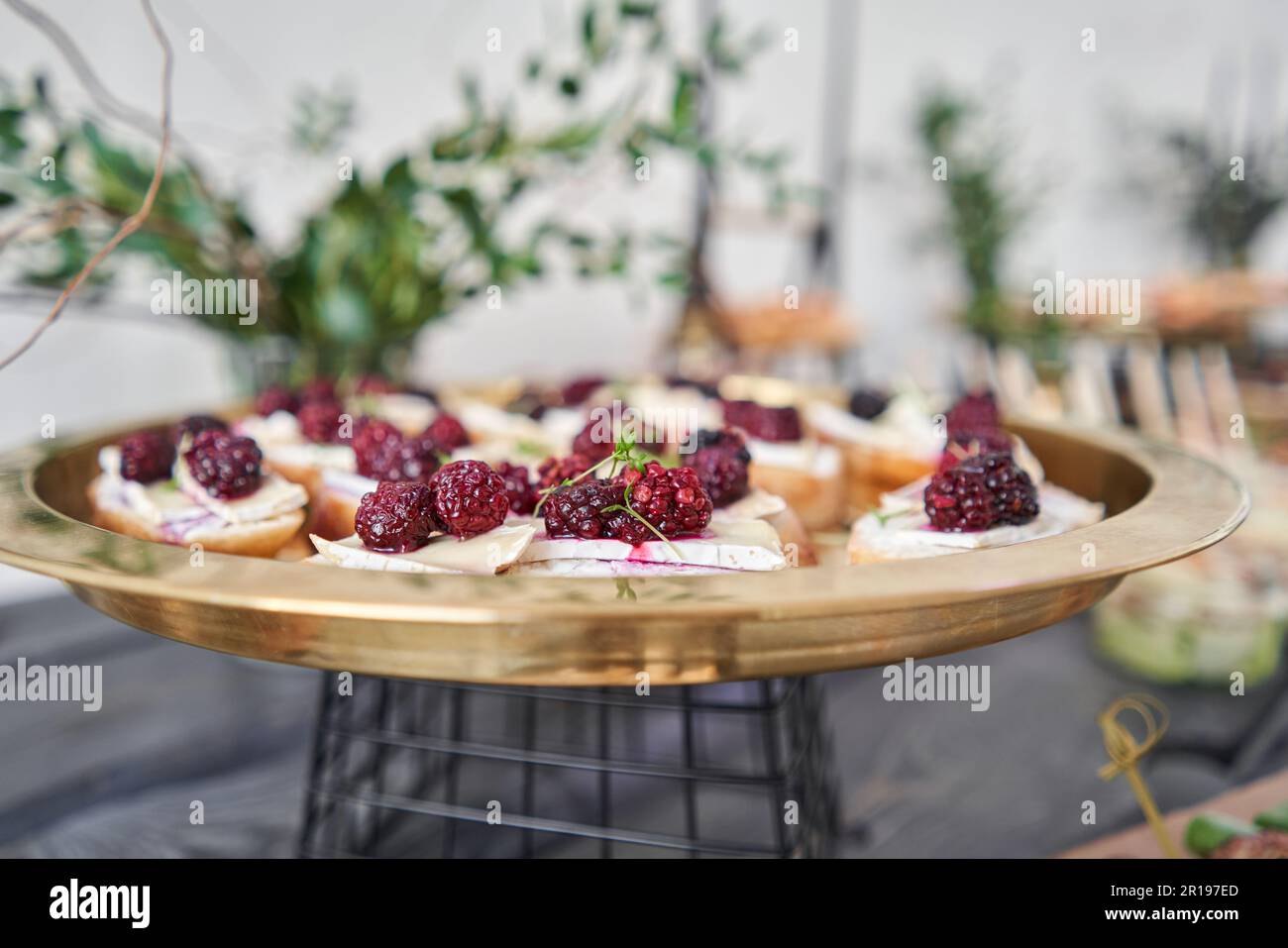 Delicious canapes with camembert and blackberries. Tasty buffet table ...