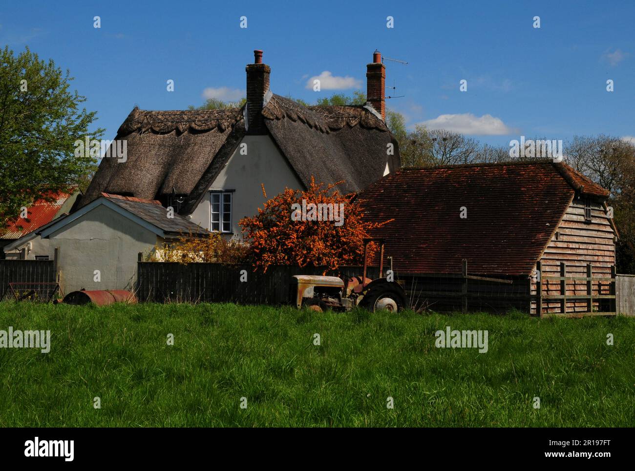 Thatched cottage in Tarrant Monkton village in Dorset, UK Stock Photo ...
