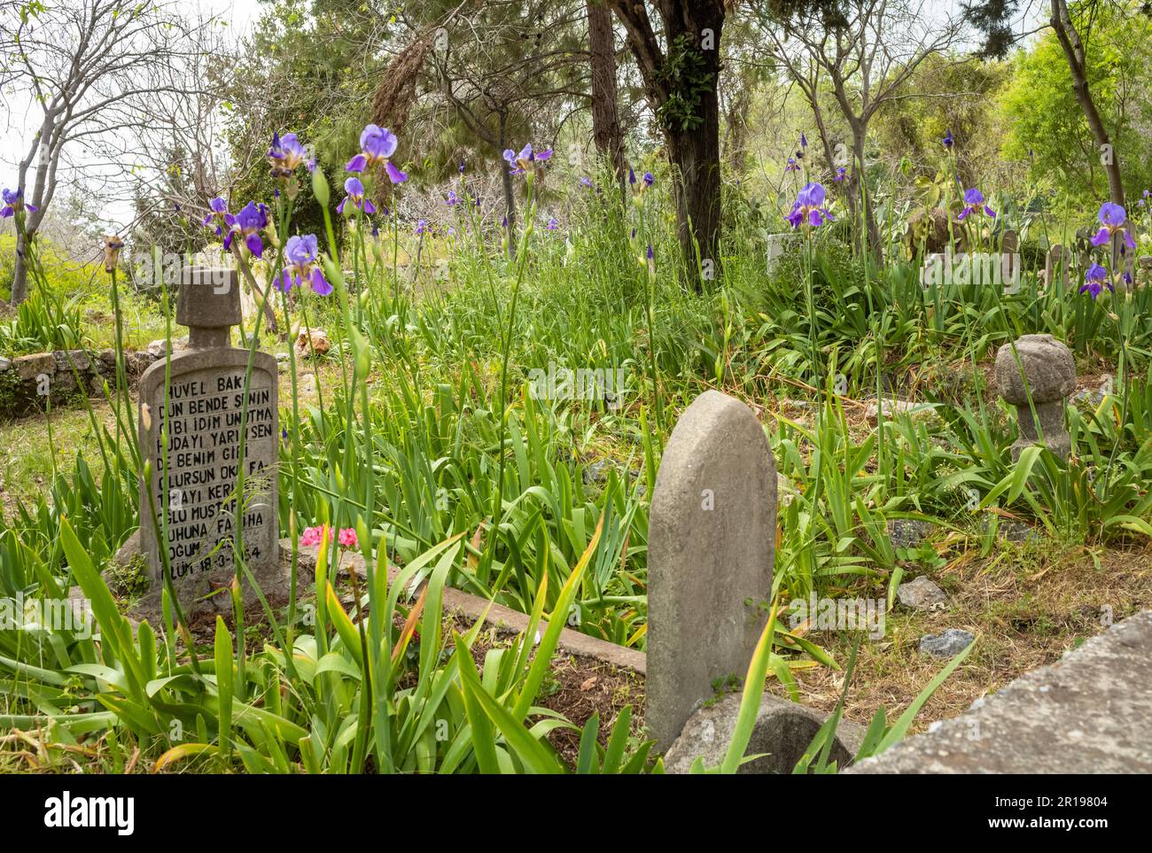 An Islamic cemetery located within the grounds of the castle in Alanya ...