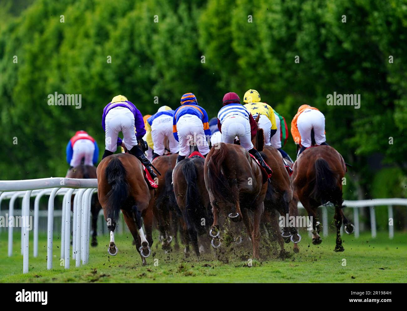 Runners and riders in action as they compete in the tote Chester Cup ...