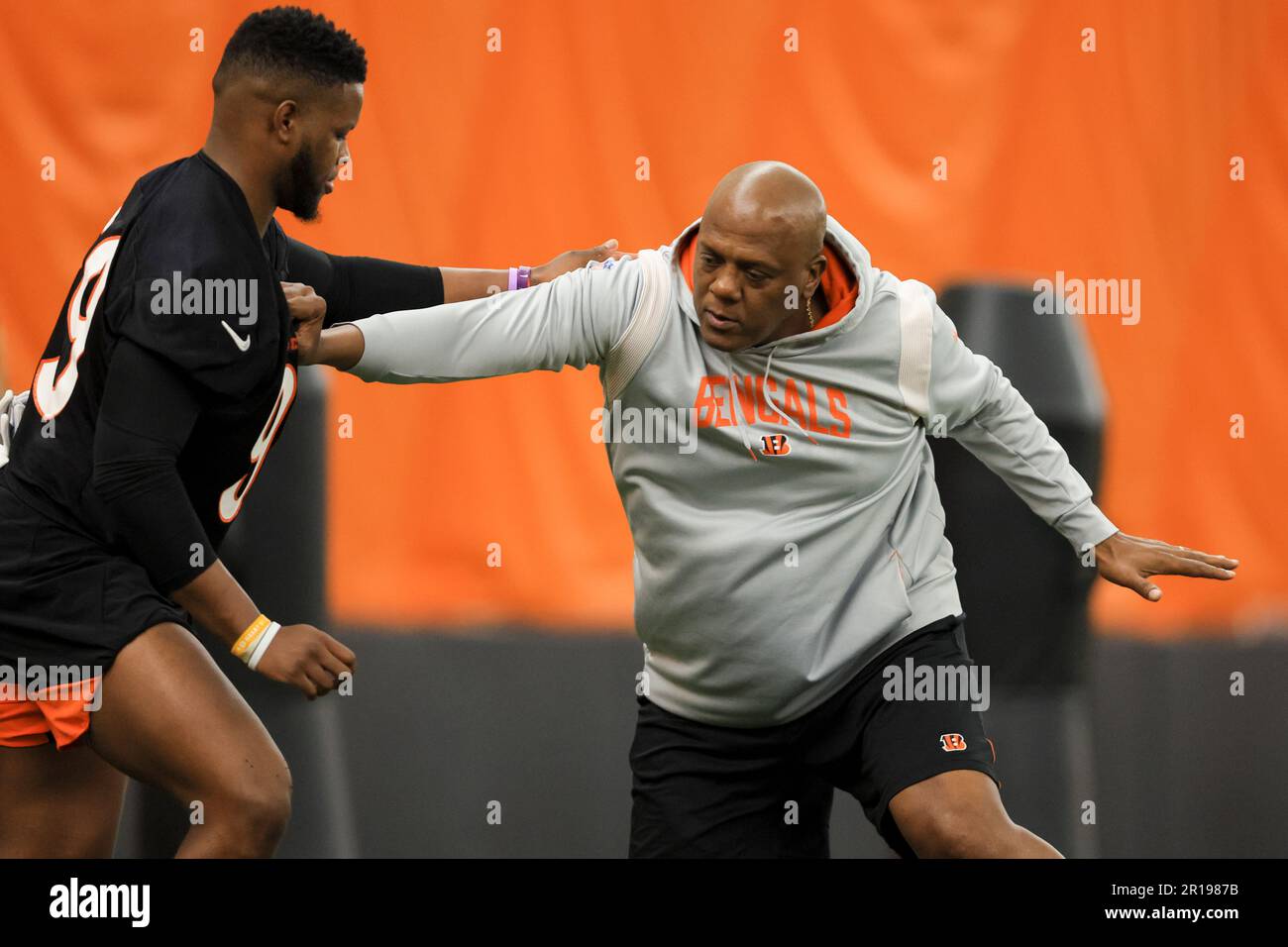 Cincinnati Bengals' Myles Murphy, left, takes part in drills with ...