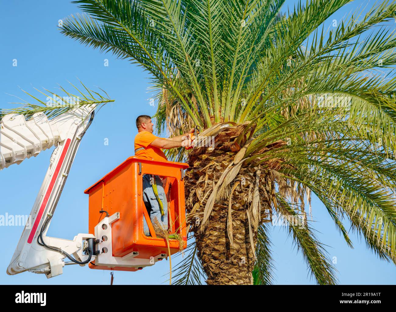 Selflift hi-res stock photography and images - Alamy