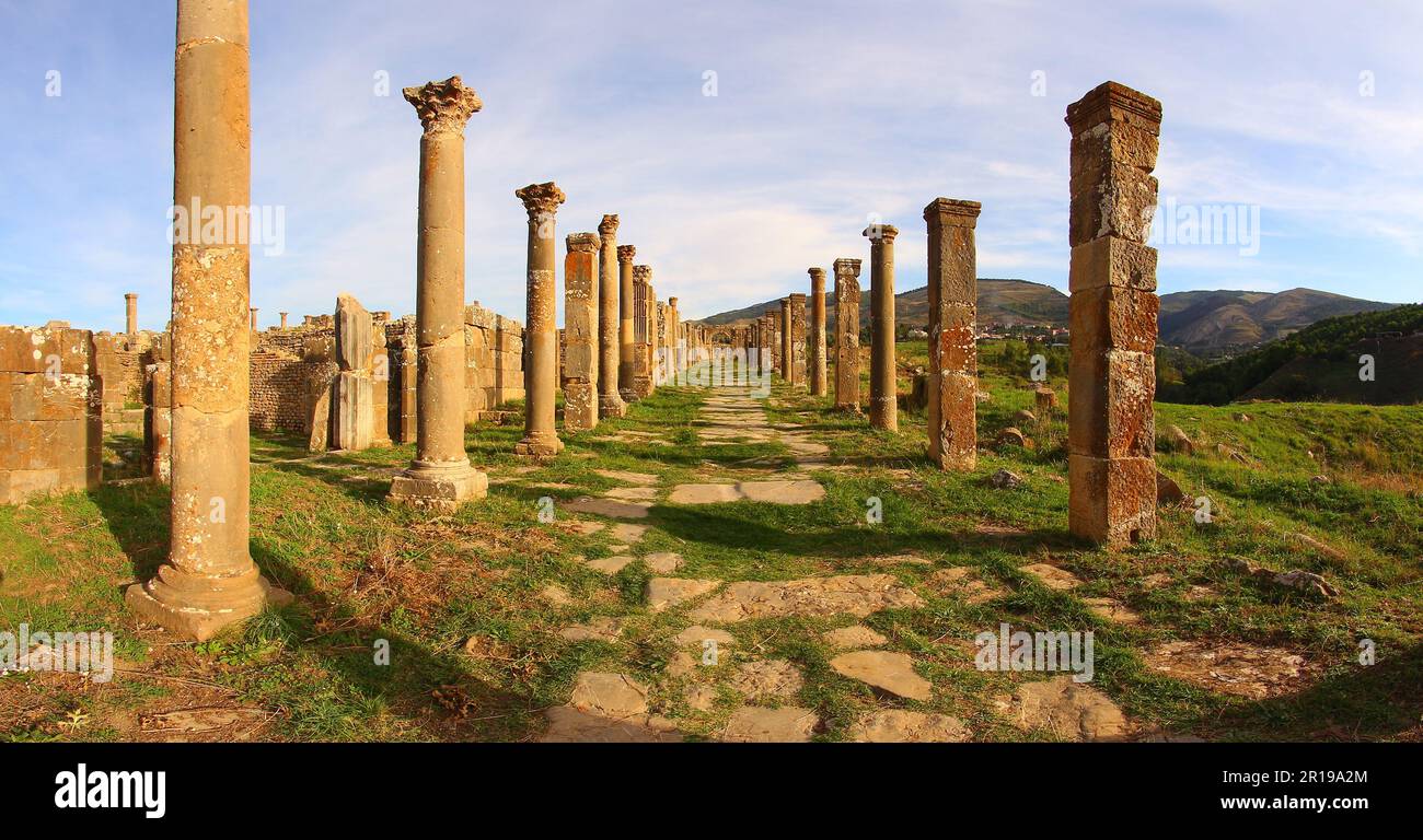 Cardo romano hi-res stock photography and images - Alamy