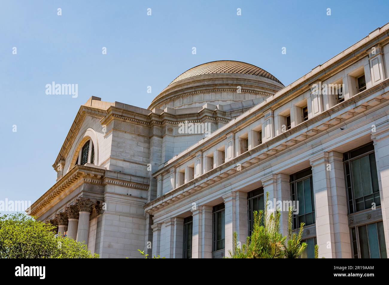 National Museum of Natural History, Washington DC USA Stock Photo - Alamy