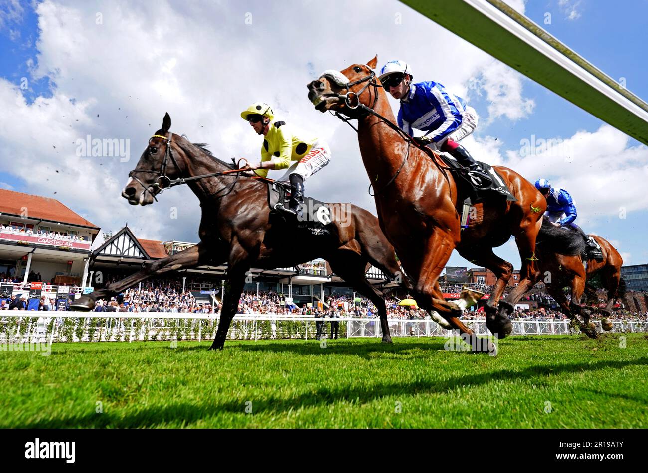 The foxes horse chester hi-res stock photography and images - Alamy