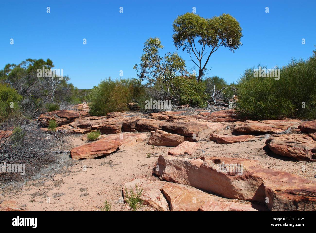 desert at hawks head at kalbarri in australia Stock Photo - Alamy