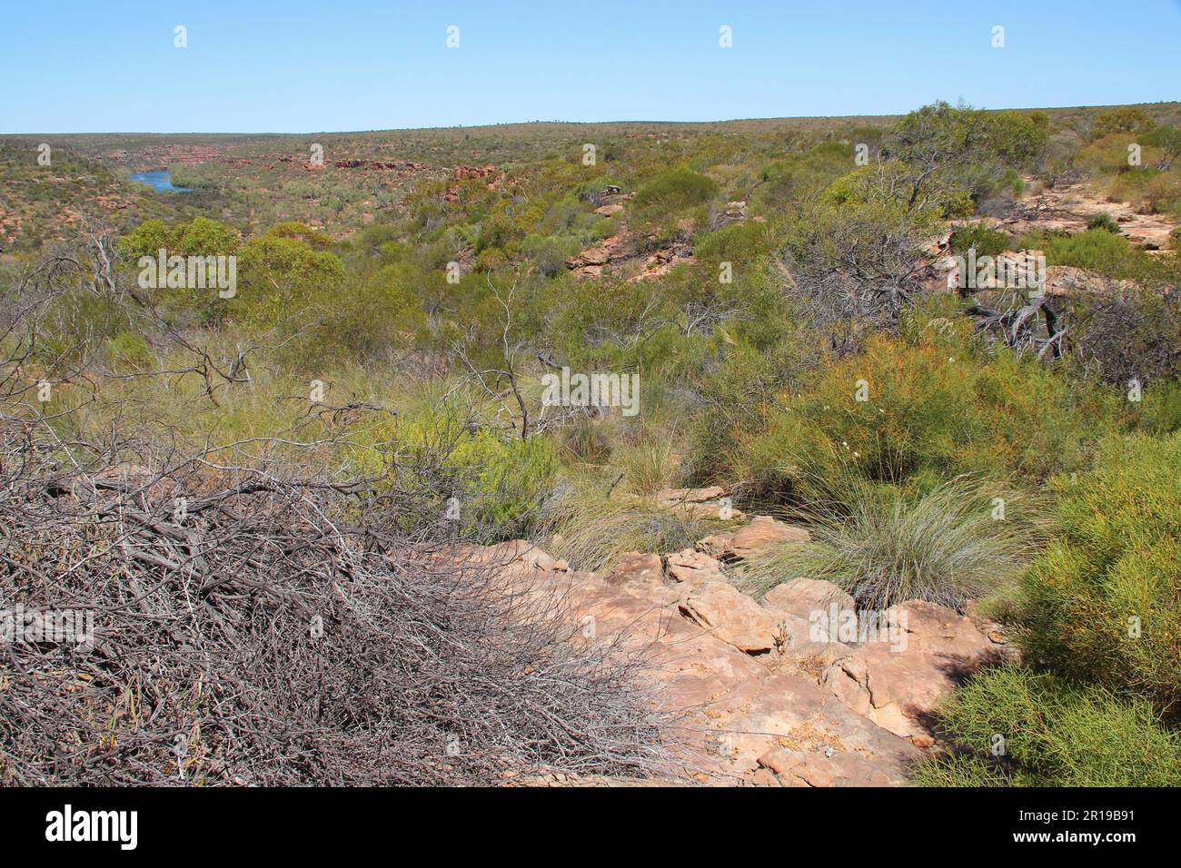 desert at hawks head at kalbarri in australia Stock Photo - Alamy