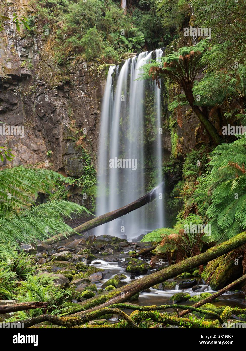 A stunning natural landscape featuring a majestic waterfall cascading ...