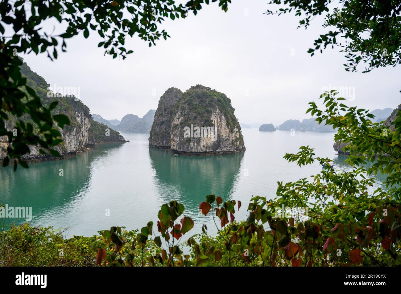 View over Bai Tu Long Bay with its typical limestone islands framed by ...