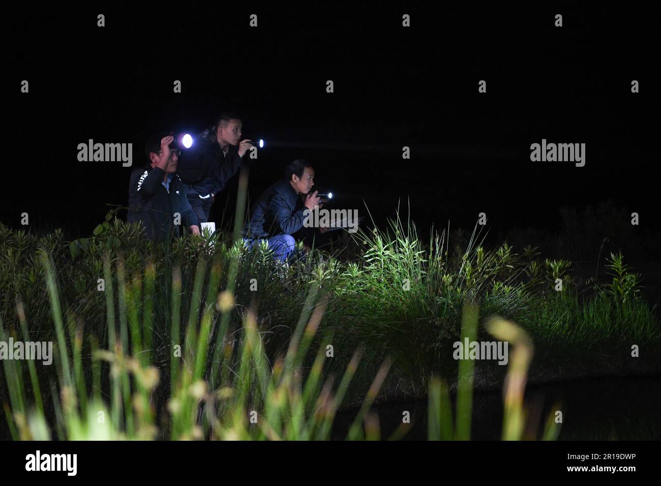 (230512) -- HEFEI, May 12, 2023 (Xinhua) -- Investigators conduct a ...