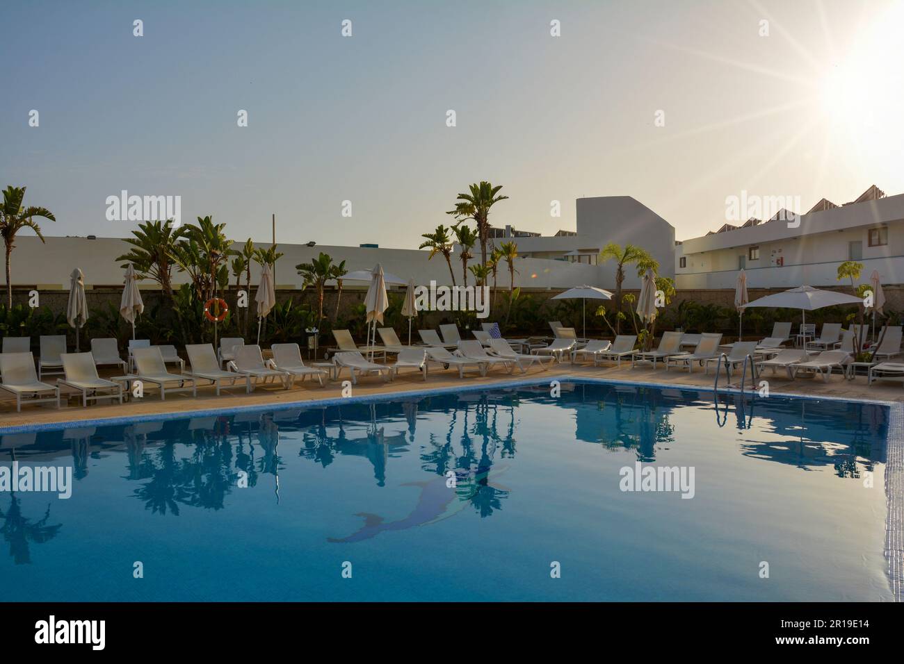 Swimming pool of a hotel with sun loungers and palm trees in the ...