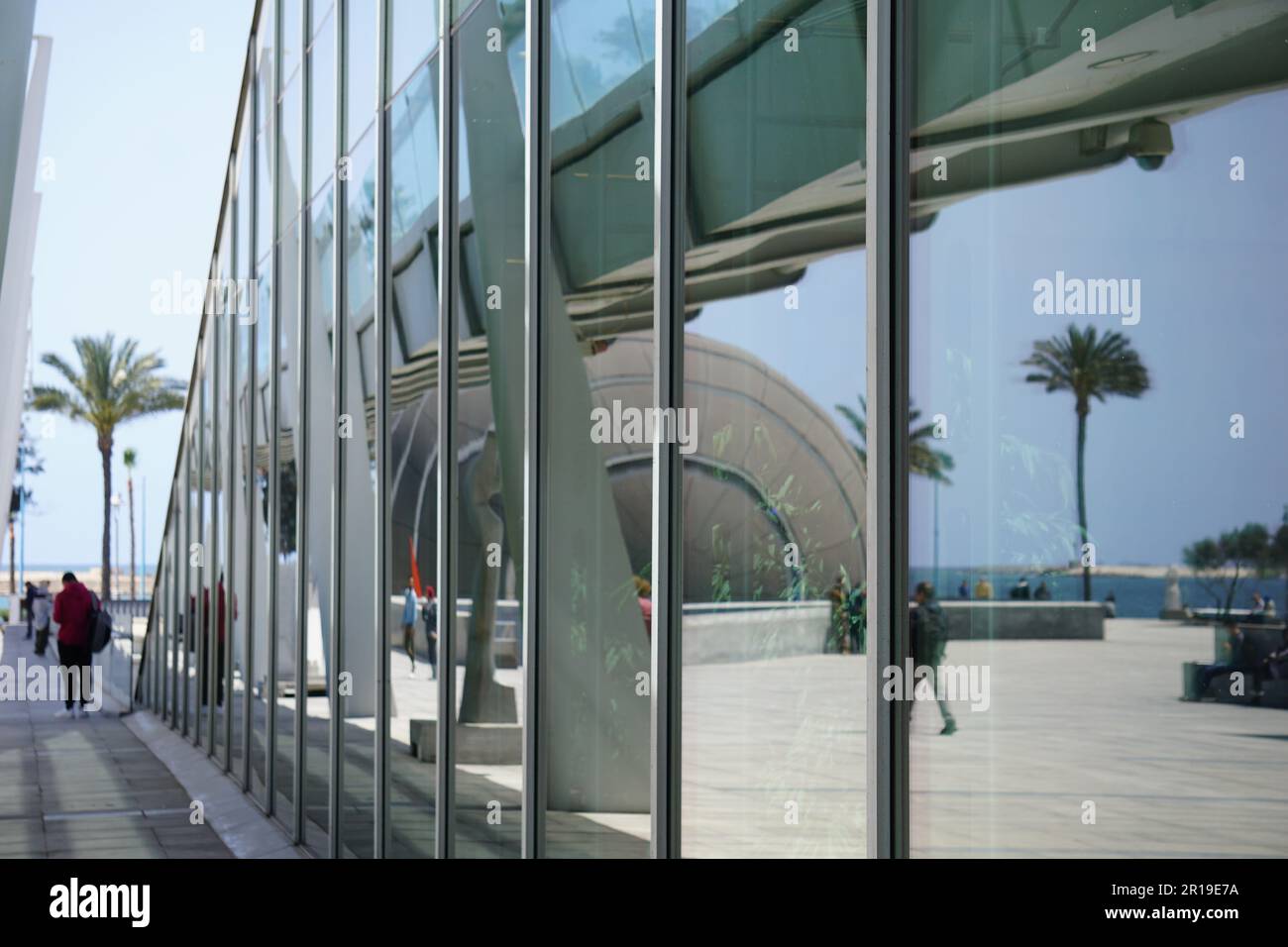 Library of Alexandria in Egypt Stock Photo - Alamy