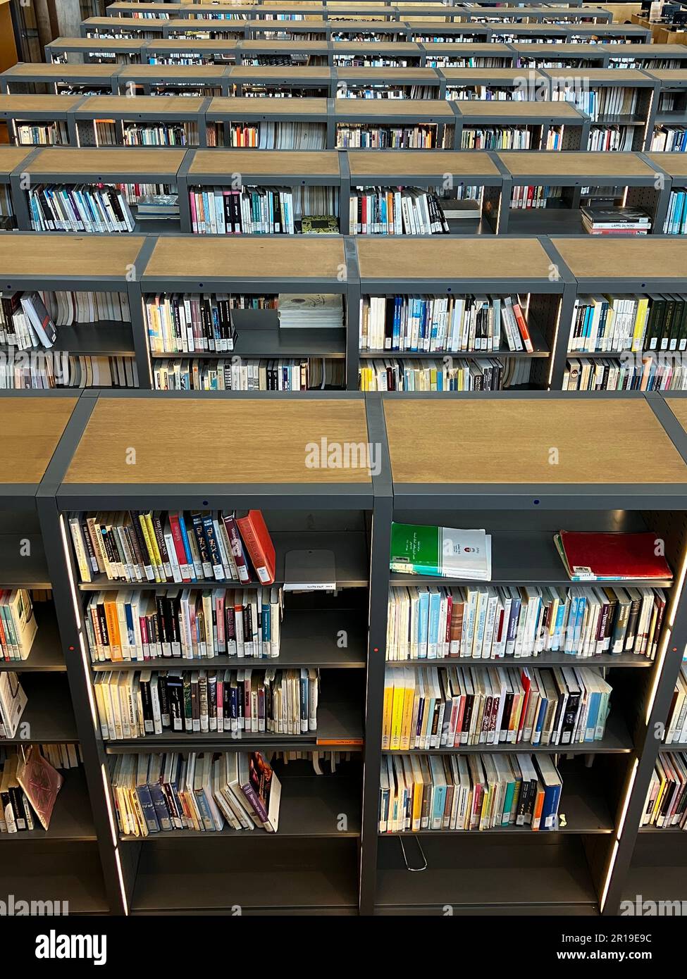 Library of Alexandria in Egypt Stock Photo - Alamy