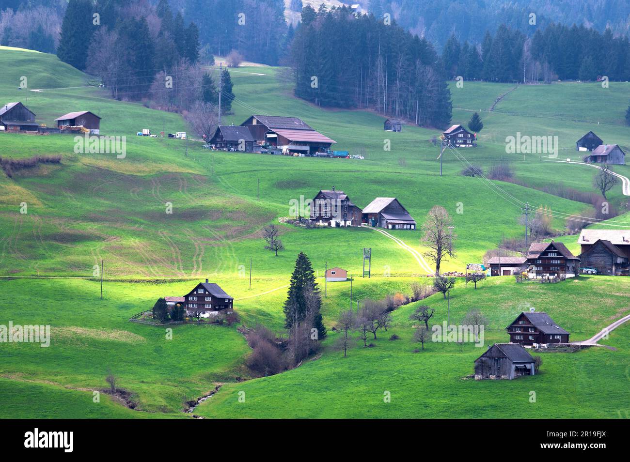 A traditional Switzerland landscape with houses and green fields Stock ...
