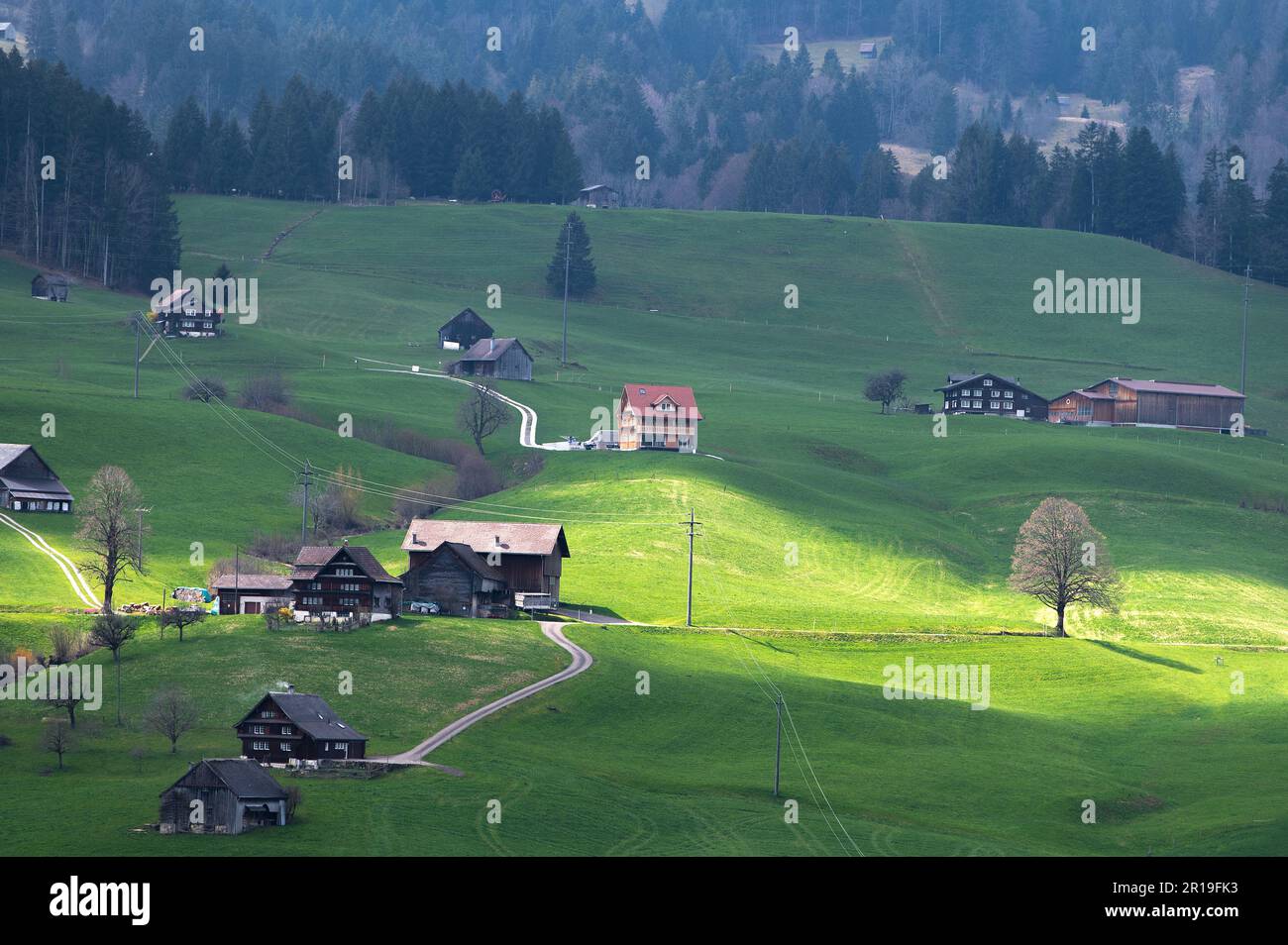 A traditional Switzerland landscape with houses and green fields Stock ...