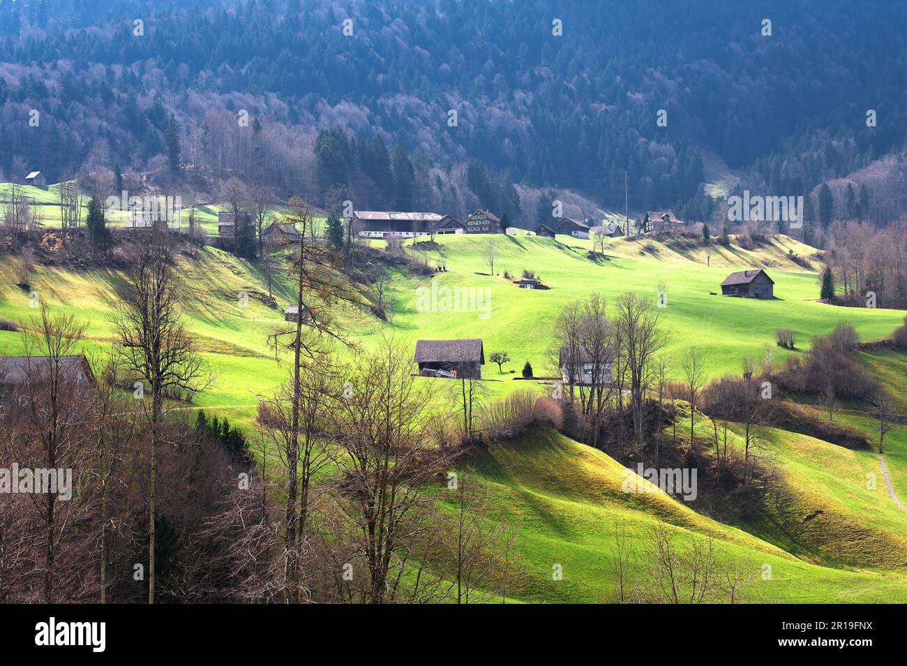 A traditional Switzerland landscape with houses and green fields Stock ...