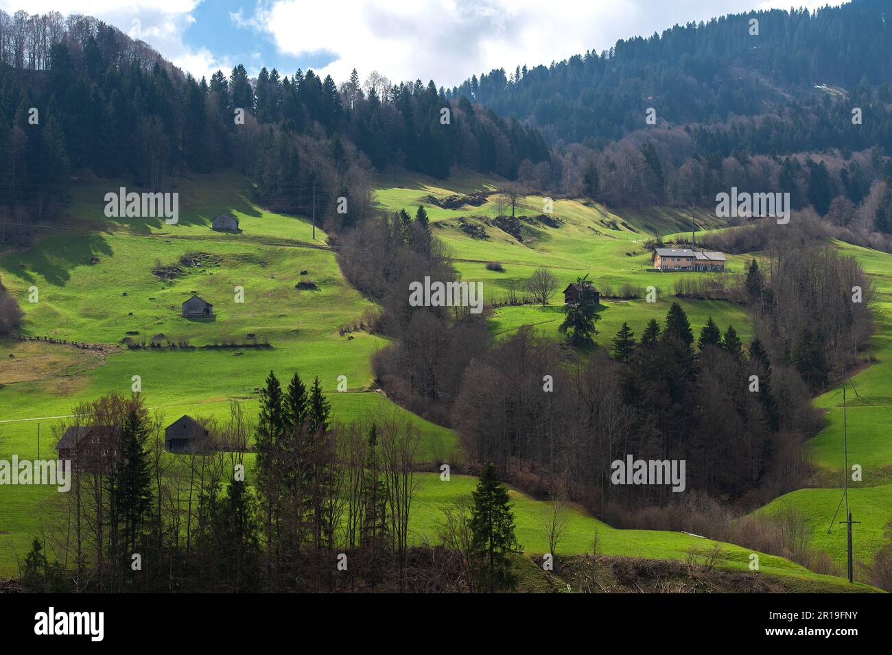 A traditional Switzerland landscape with houses and green fields Stock ...