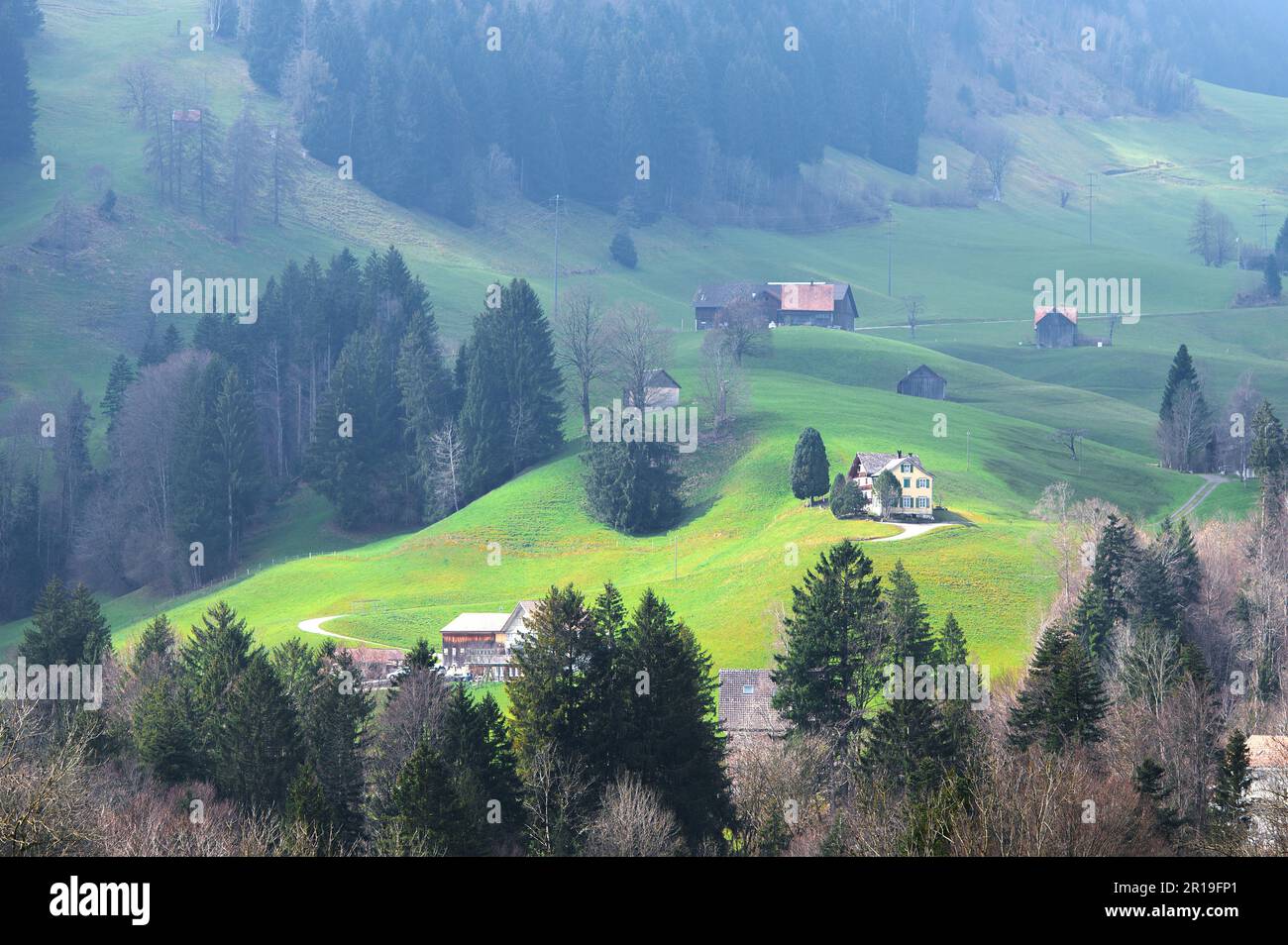 A traditional Swiss landscape with houses and green fields Stock Photo ...