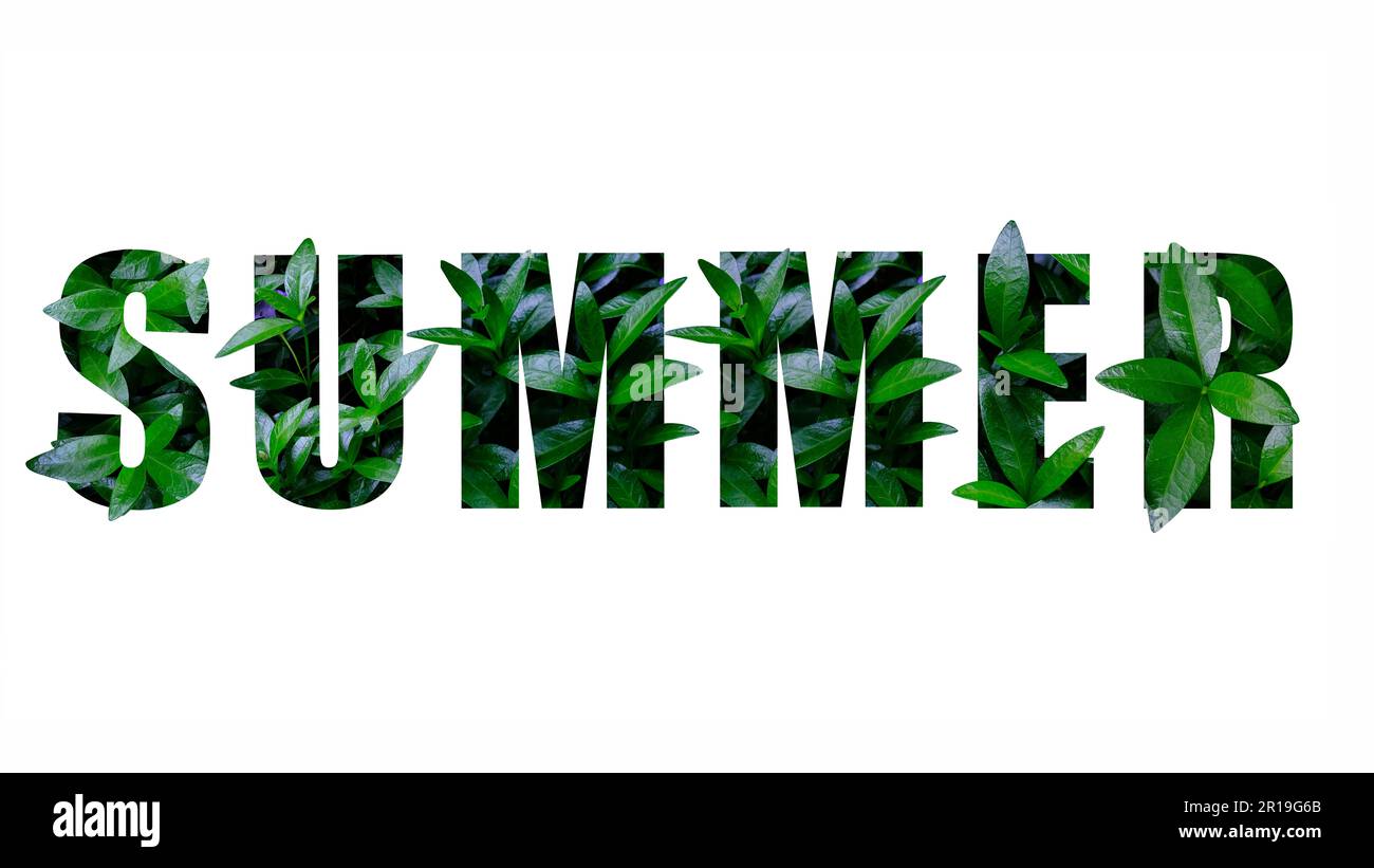 Summer word made from hi-res stock photography and images - Alamy