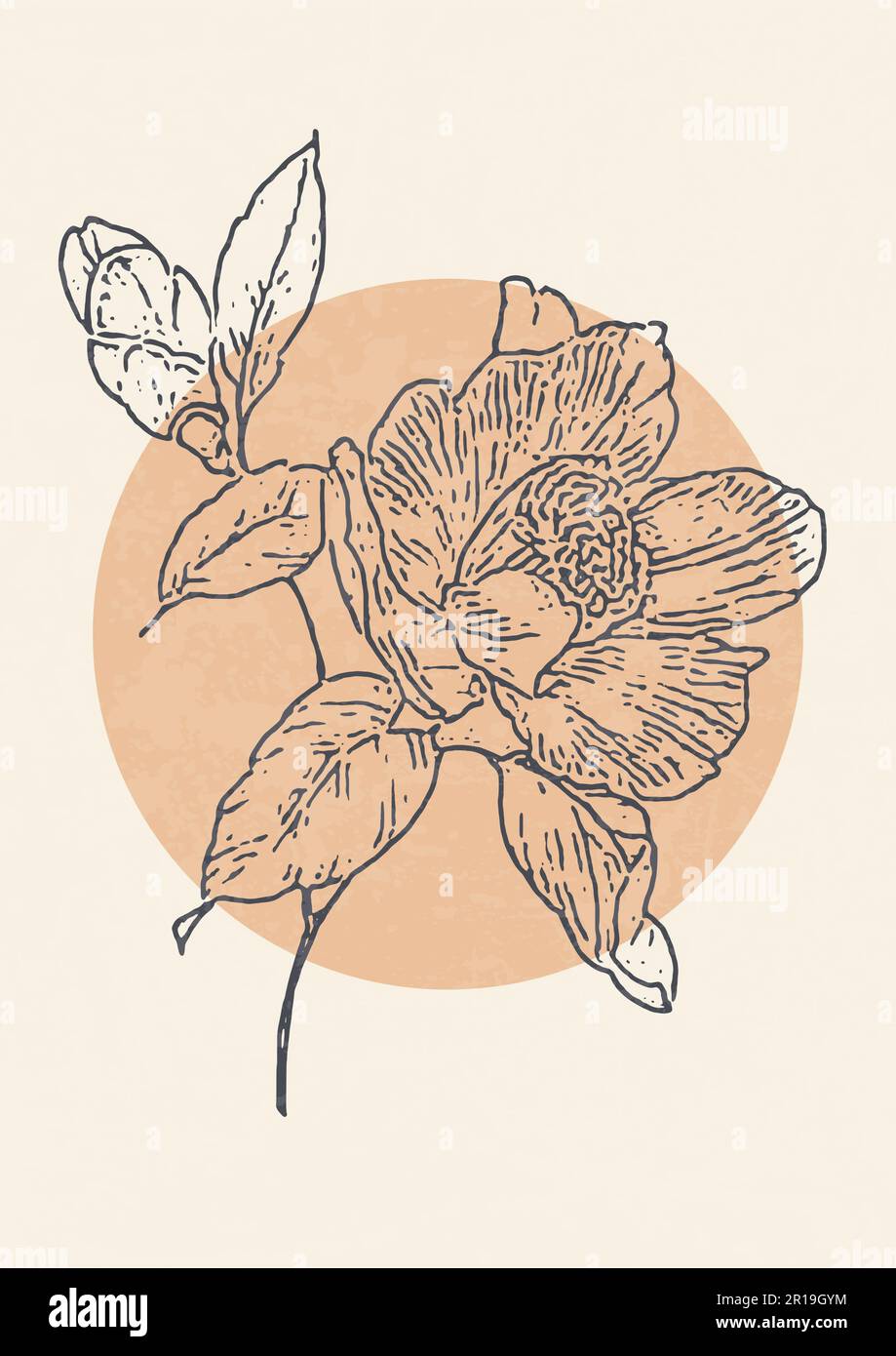 Peony blossom branch neutral sketch illustration poster Stock Vector ...