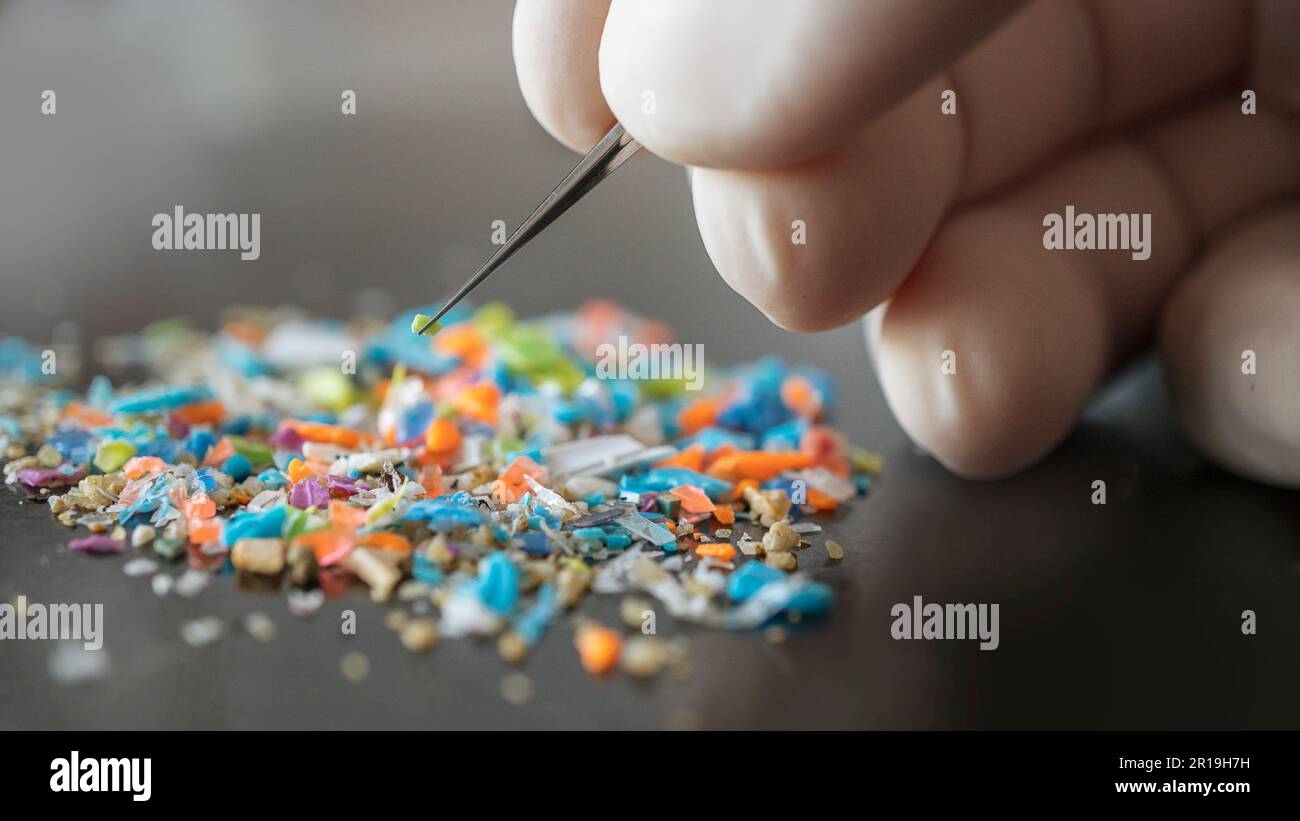 Macro shot of a person with medical gloves and tweezers inspecting a ...