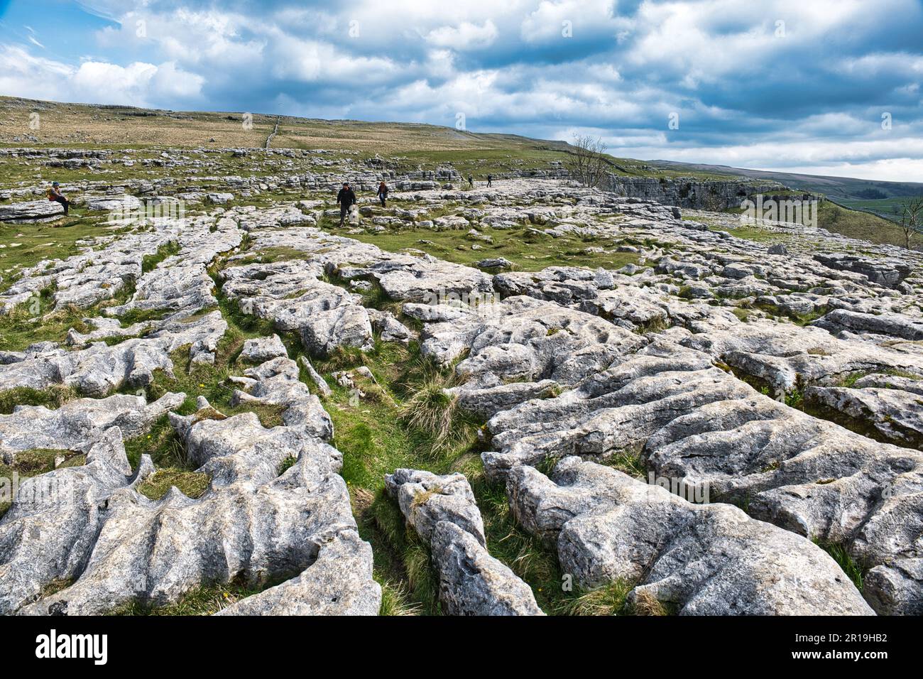 Limestone pavement features hi-res stock photography and images - Alamy