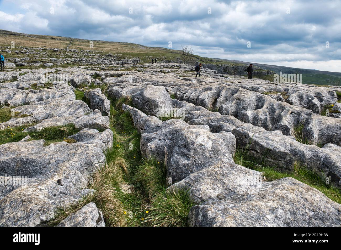 Limestone pavement, Malham Stock Photo - Alamy