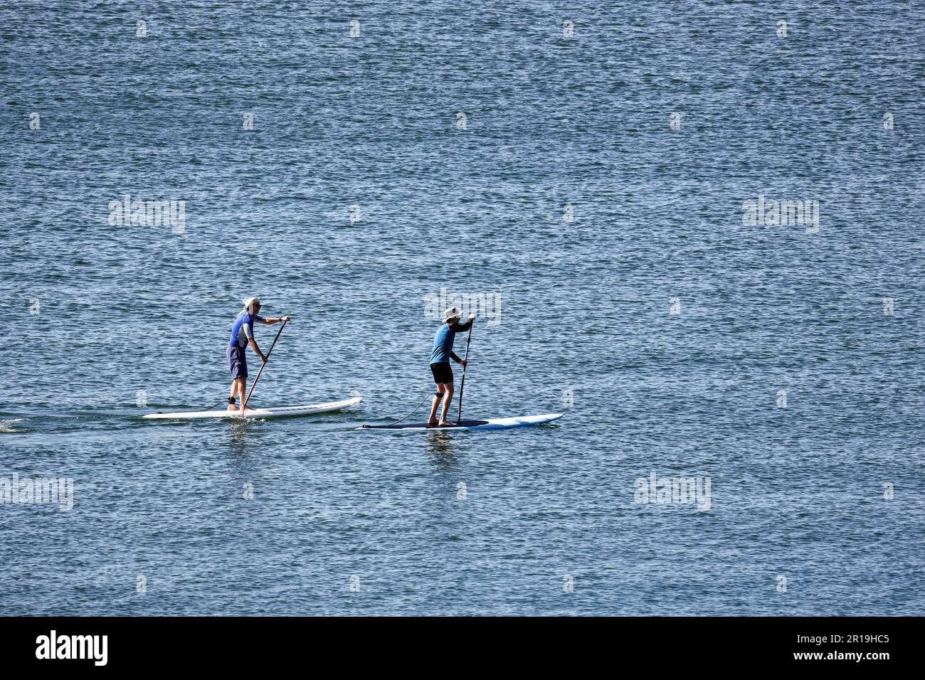 Longshot of a pair of paddle boarders in Plymouth Sound, Devon. With ...