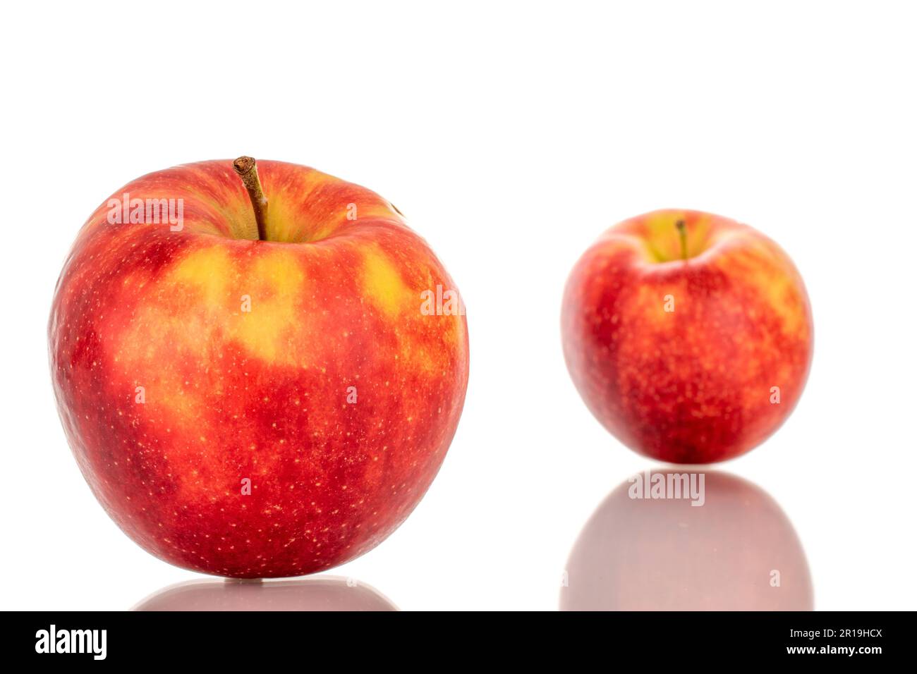 Two ripe red apples, macro, isolated on white background Stock Photo ...