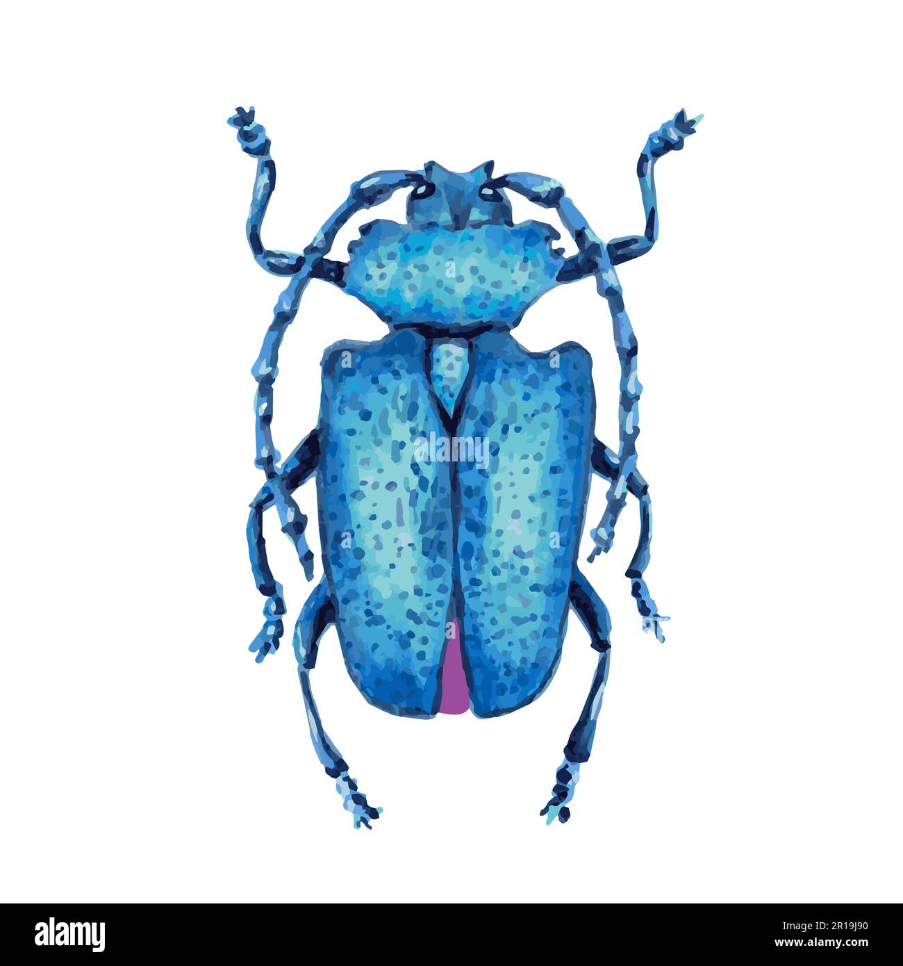 Blue longhorn beetle.Hand drawn marker and watercolor drawing.The cut ...