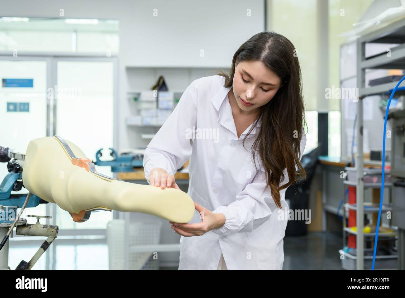Female technician assembling and fixing parts of modern prosthetic leg ...