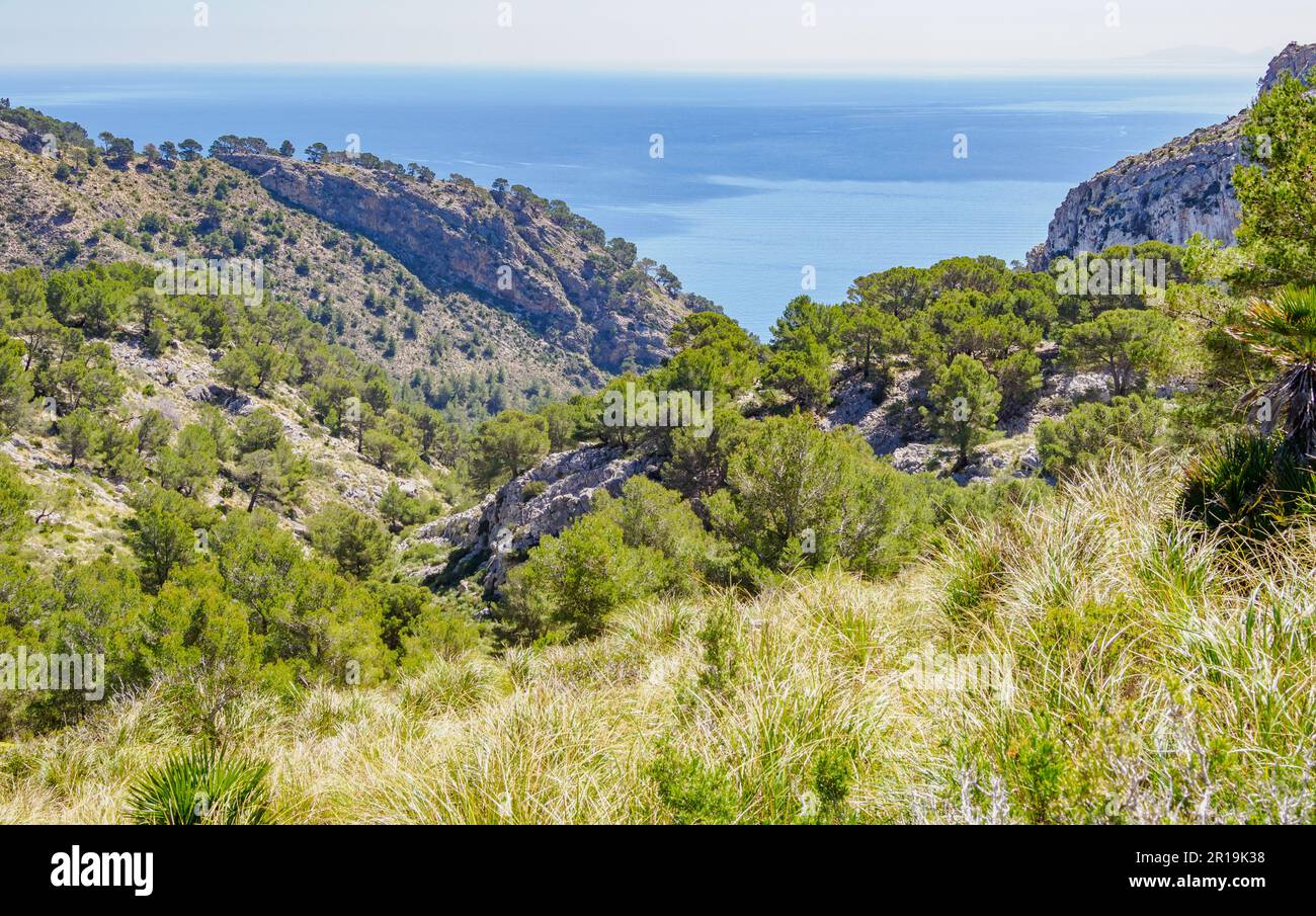 The rugged Formentor Peninsula from the walking trail leading to Na ...