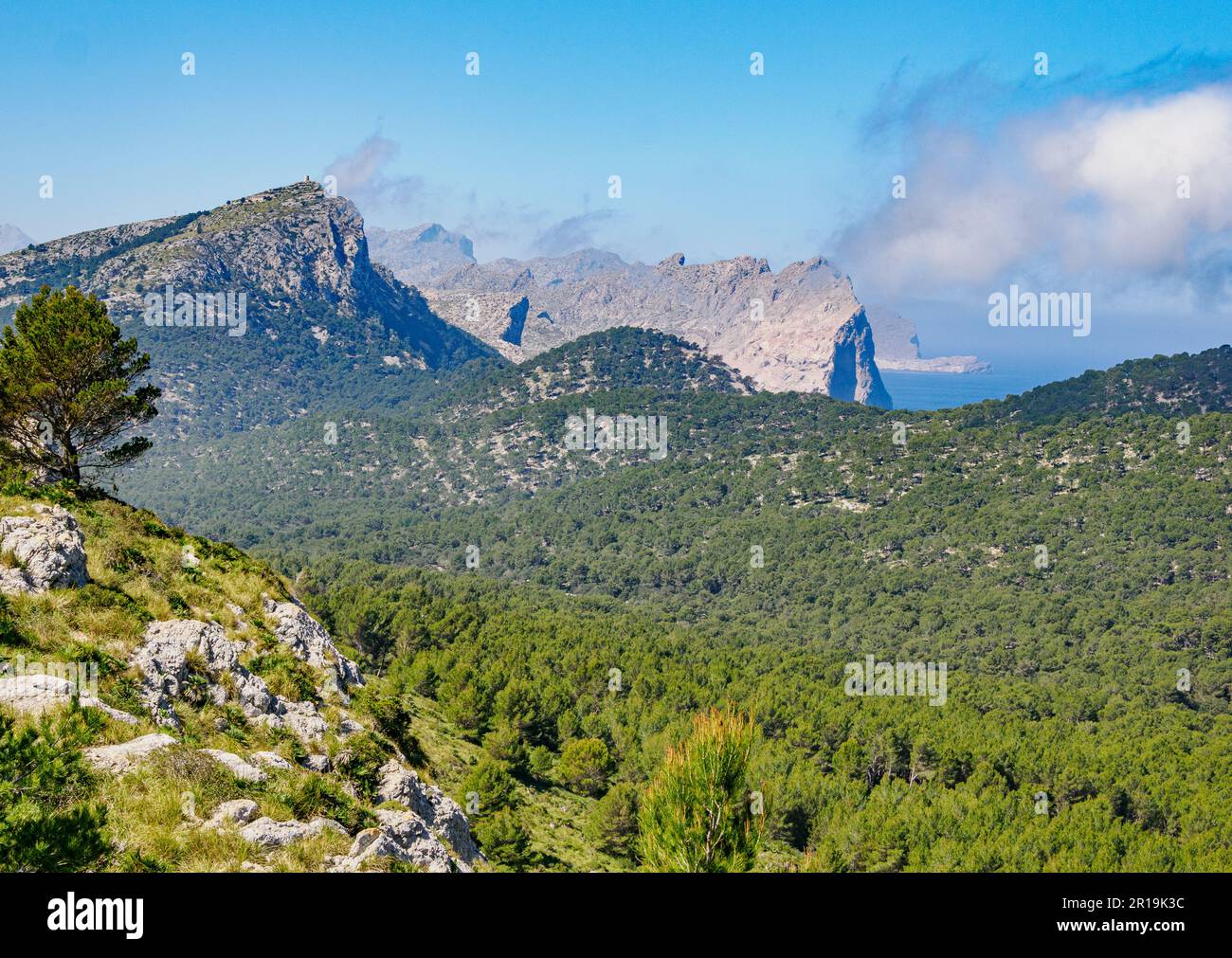 The rugged Formentor Peninsula from the walking trail leading to Na ...
